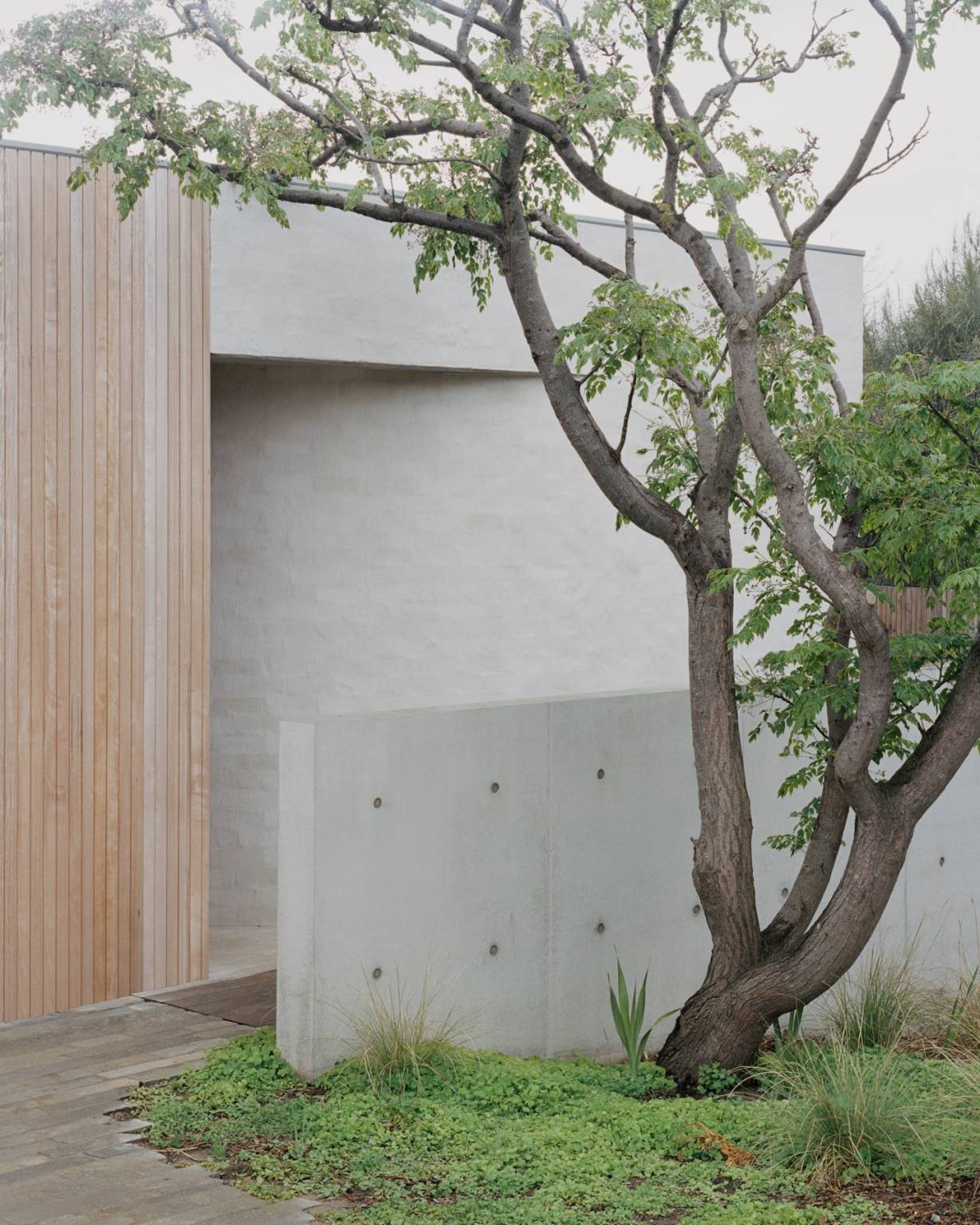 Queens Park House by Porebski Architects - Project Feature - The Local ...