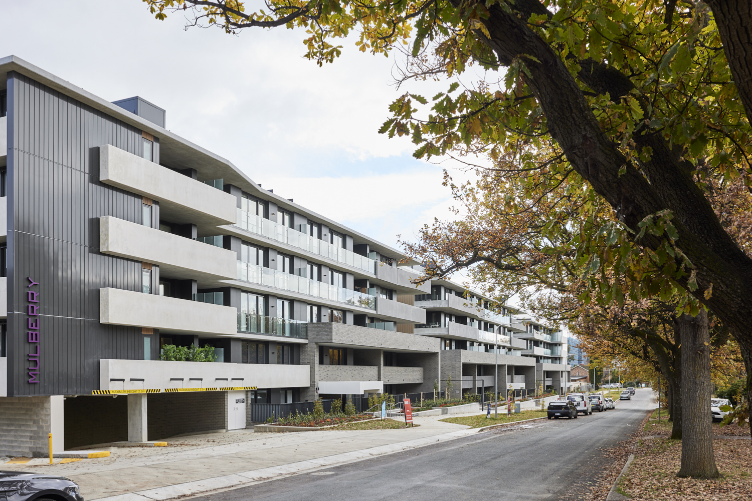 Callam Offices by John Andrews AO - Issue 10 Commercial Feature - The ...