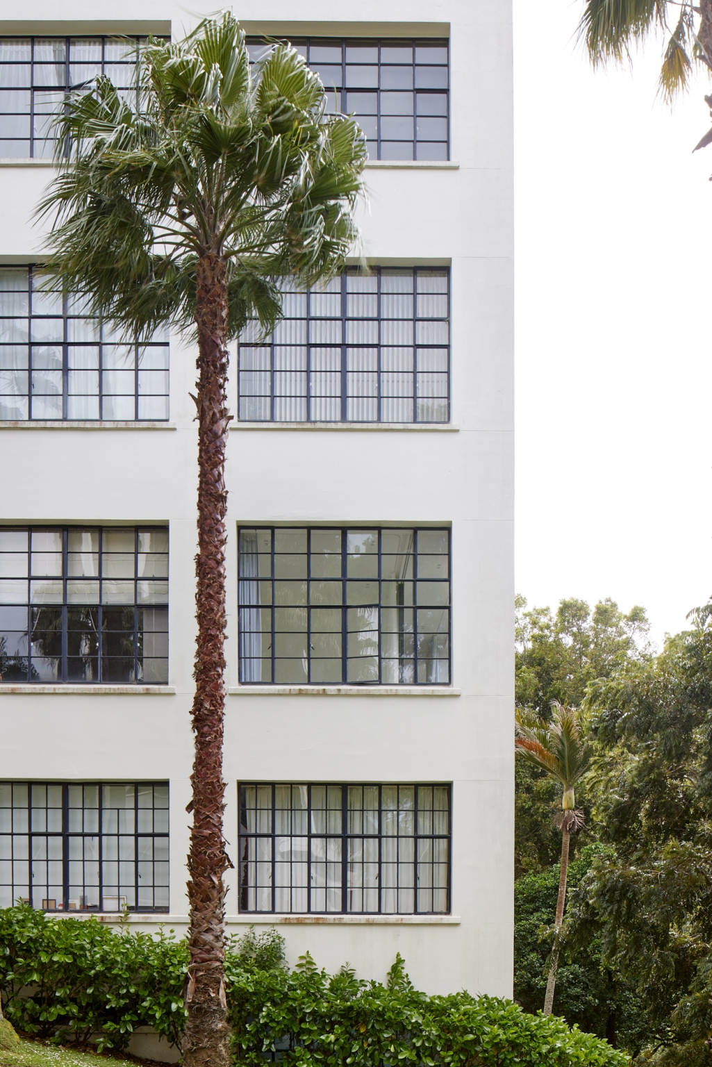 Prahran Residence by Glenvill Homes - Project Feature - The Local Project