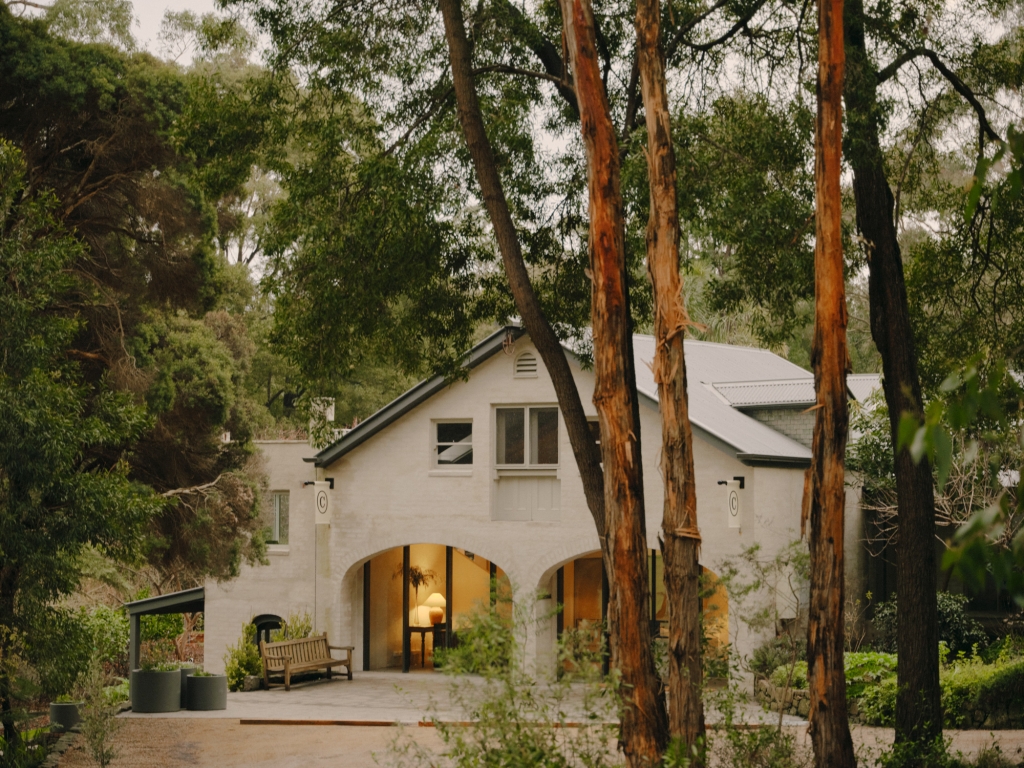 The Cambium by Carr - Issue 11 Commercial Feature - The Local Project