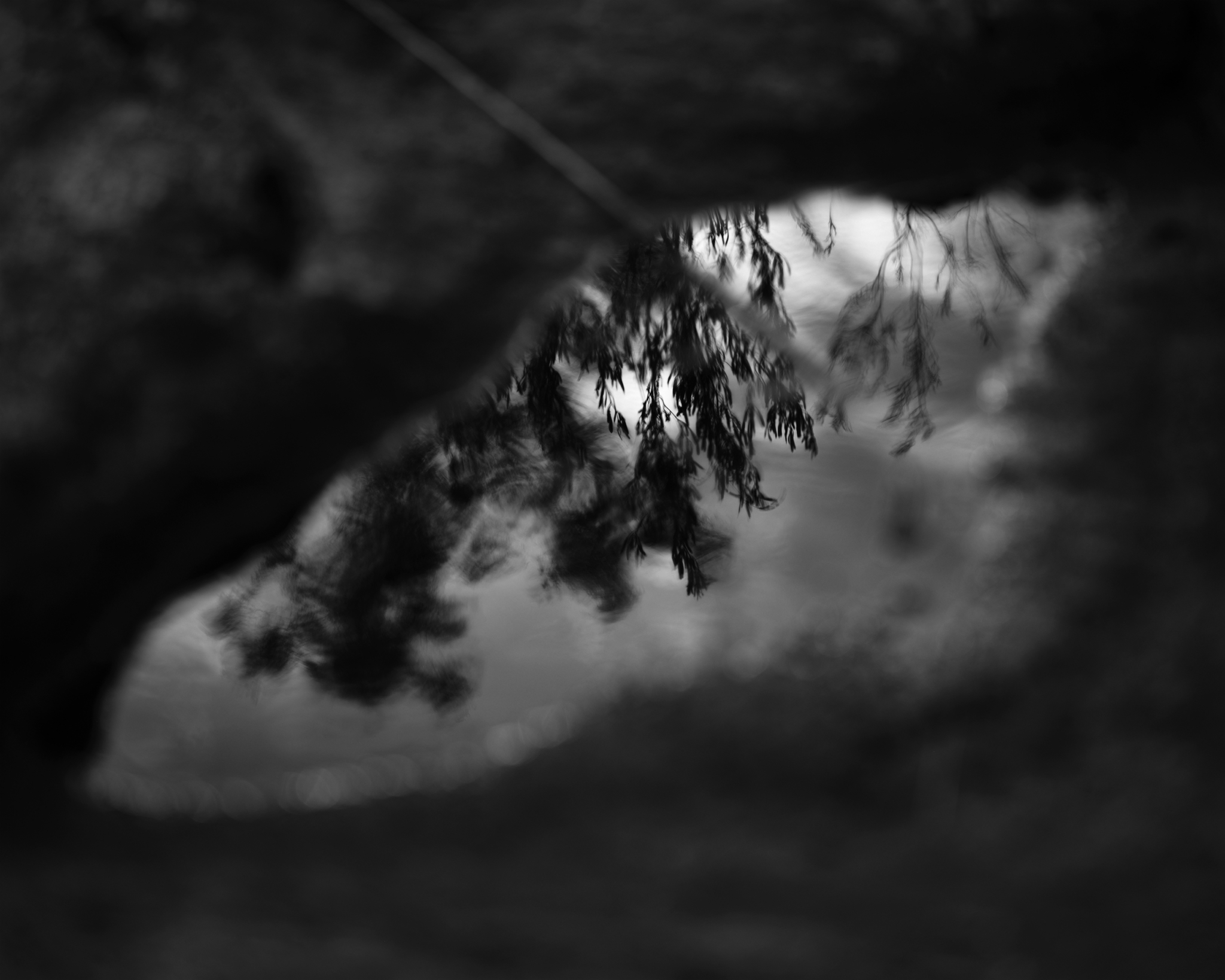 Dark Waters by Chris Budgeon - Collection Feature - The Local Project