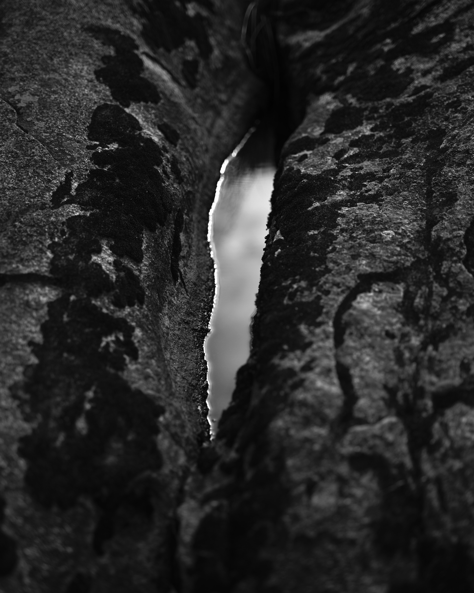 Dark Waters by Chris Budgeon - Collection Feature - The Local Project