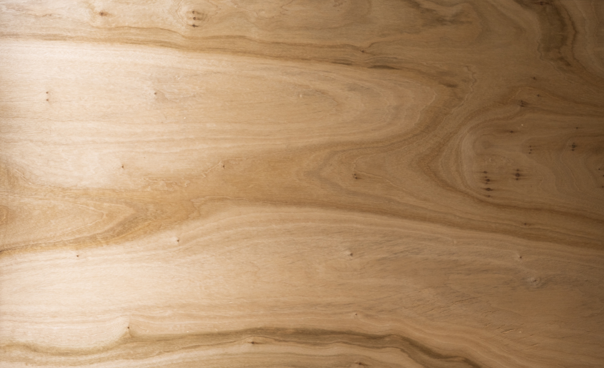 Buff Oak by Muuro - Product Directory - The Local Project