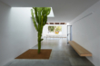 Emeco House by David Saik Studio - Video Feature - The Local Project