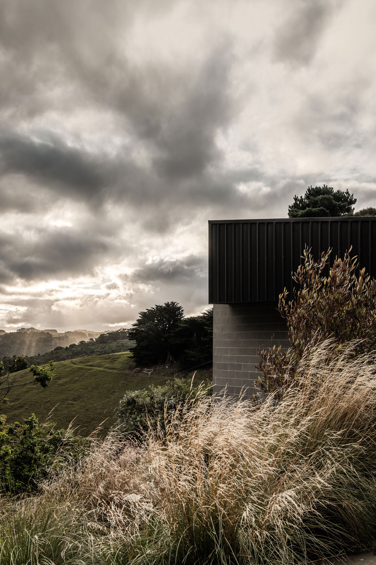 Brighton Residence by Sync Architecture - Project Feature - The Local ...