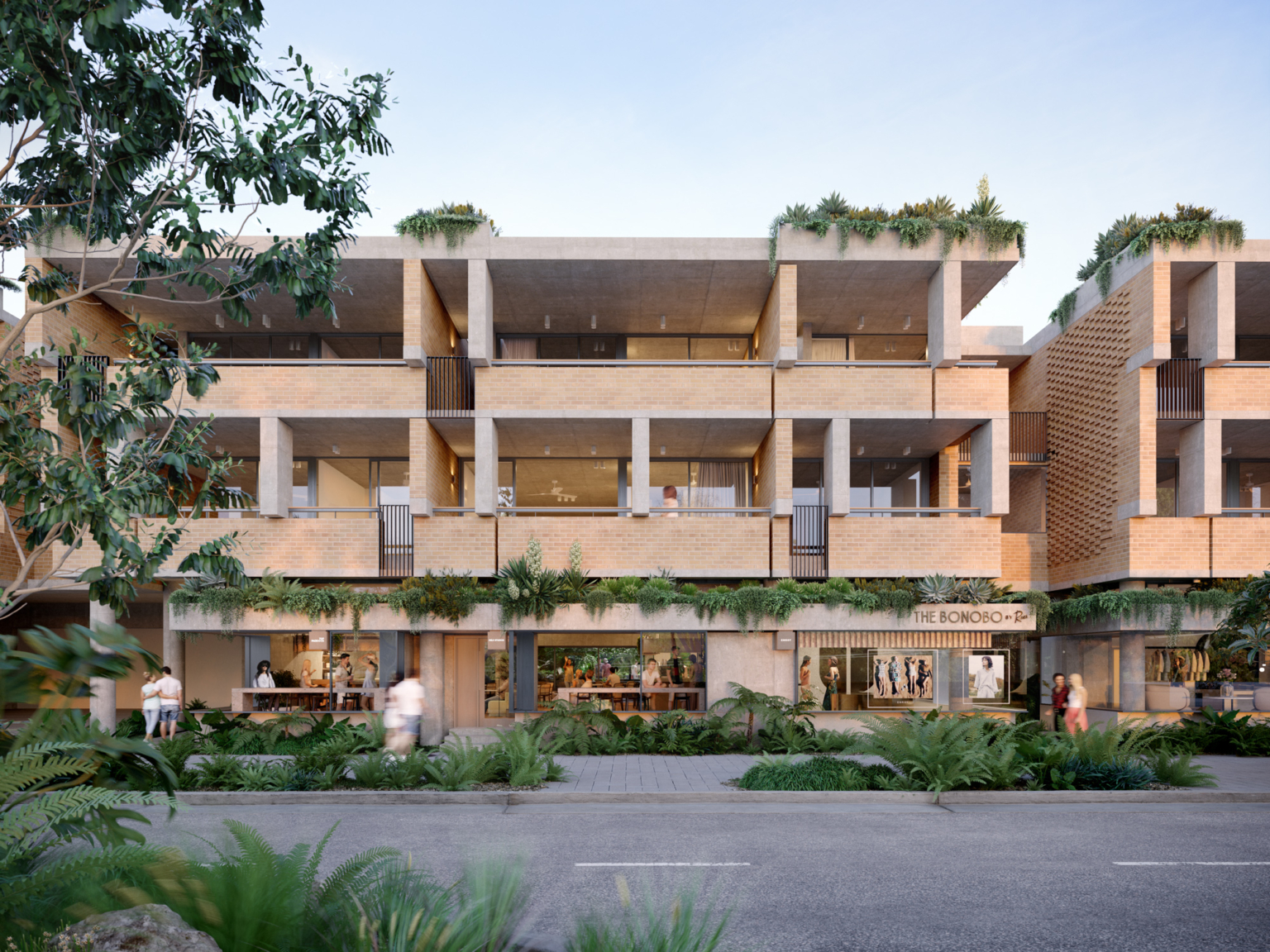 The Bonobo by Raes by Richards & Spence - Issue 12 Feature - The Local ...
