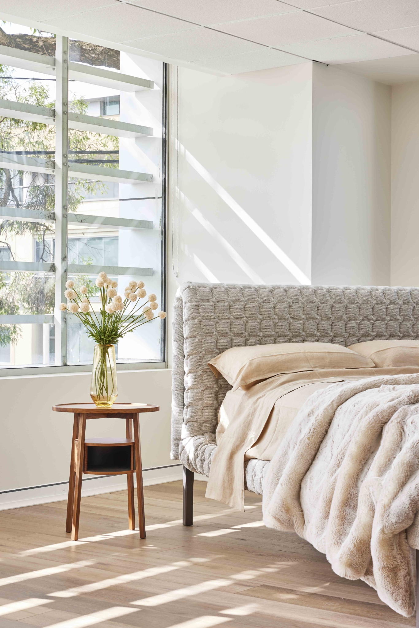 DOMO - The Local Project