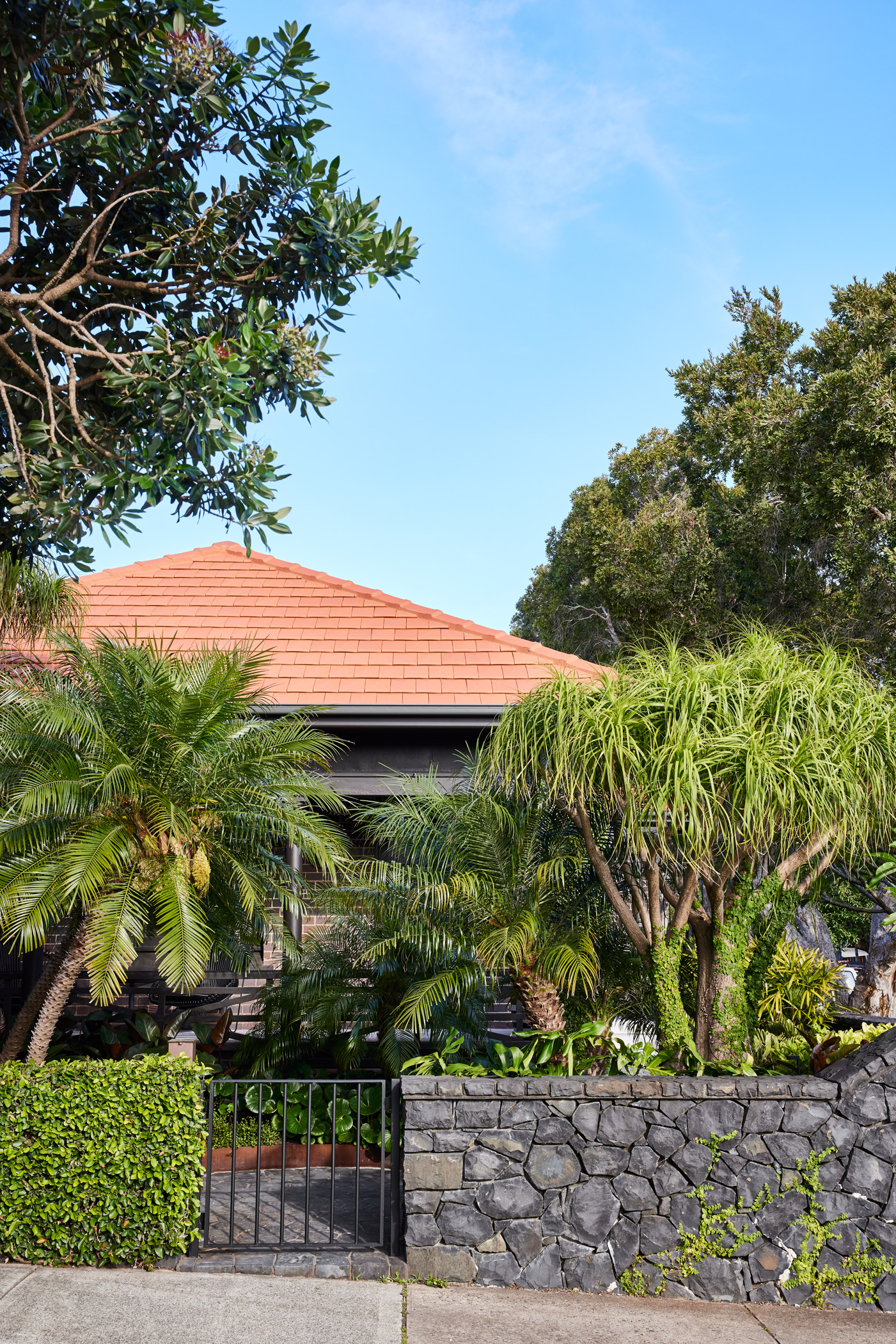 Paperbark Bondi by Madeleine Blanchfield Architects - Issue 13 Feature - The Local Project