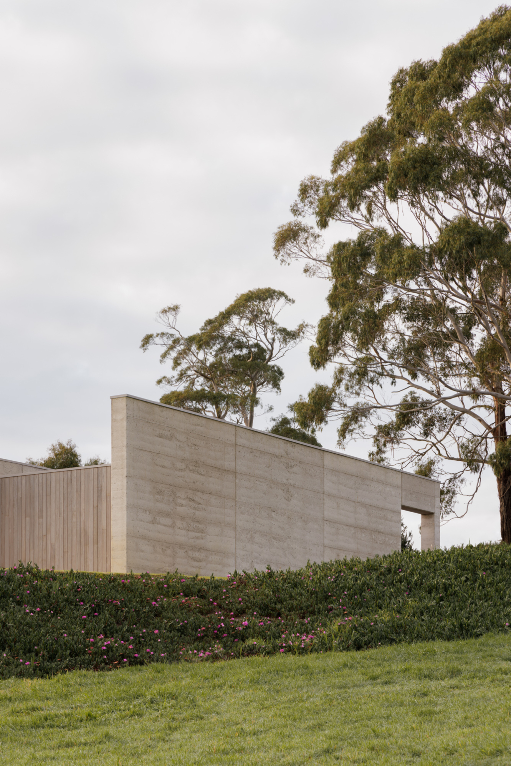 Deans Marsh House by Tecture - Project Feature - The Local Project