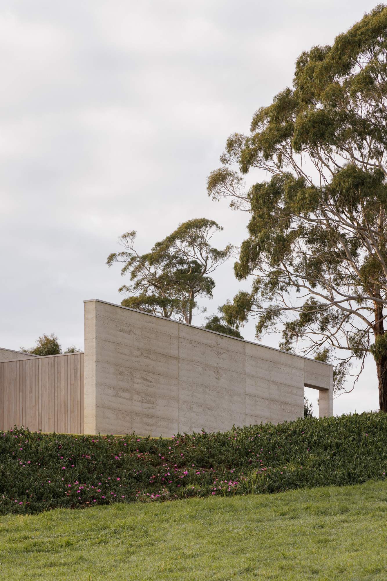 Deans Marsh House by Tecture - Project Feature - The Local Project
