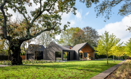 Video - The Local Project