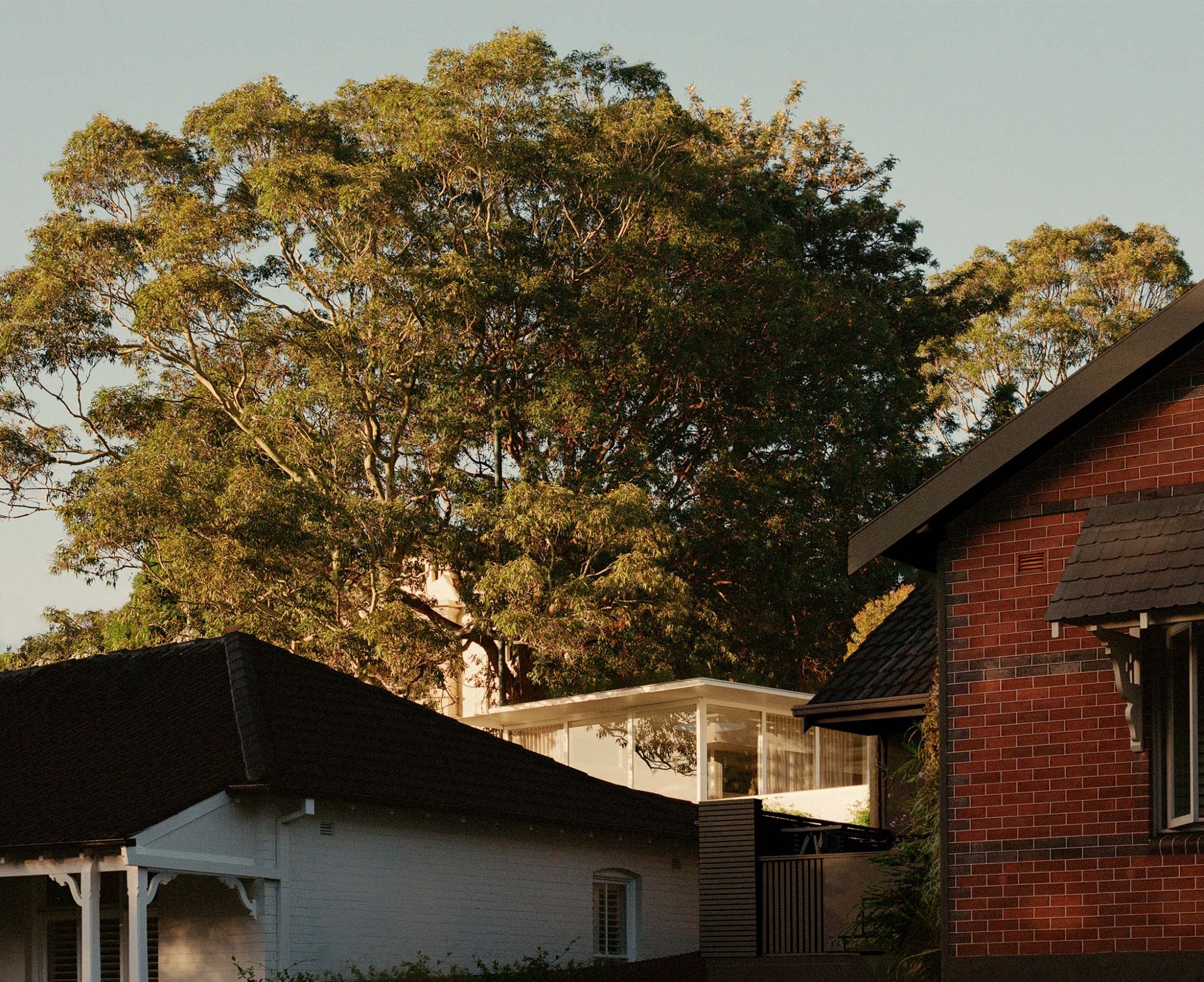 Balmain House by SAHA - Project Feature - The Local Project