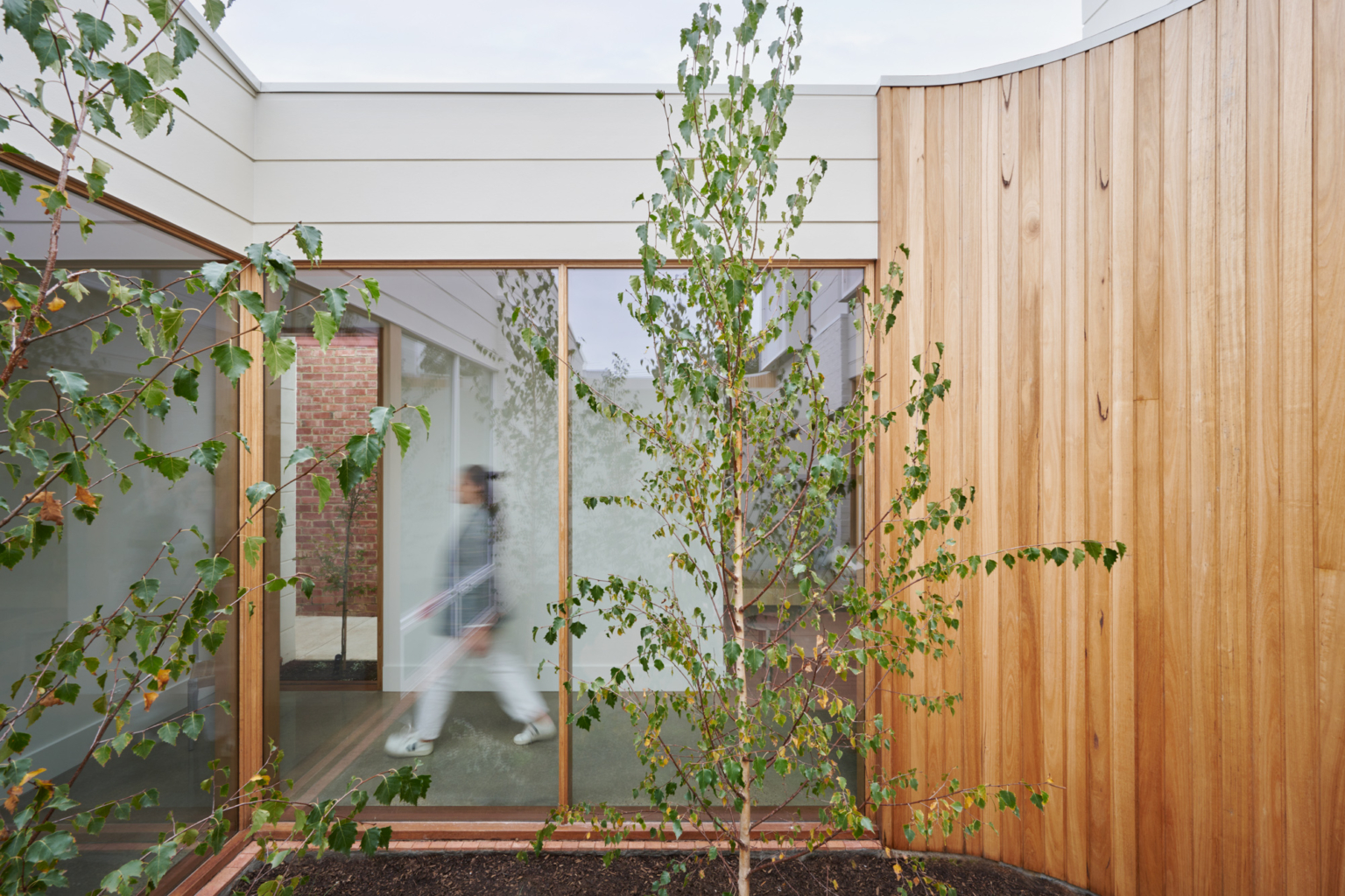 73 Albert Street by Urban Habitats - Project Feature - The Local Project