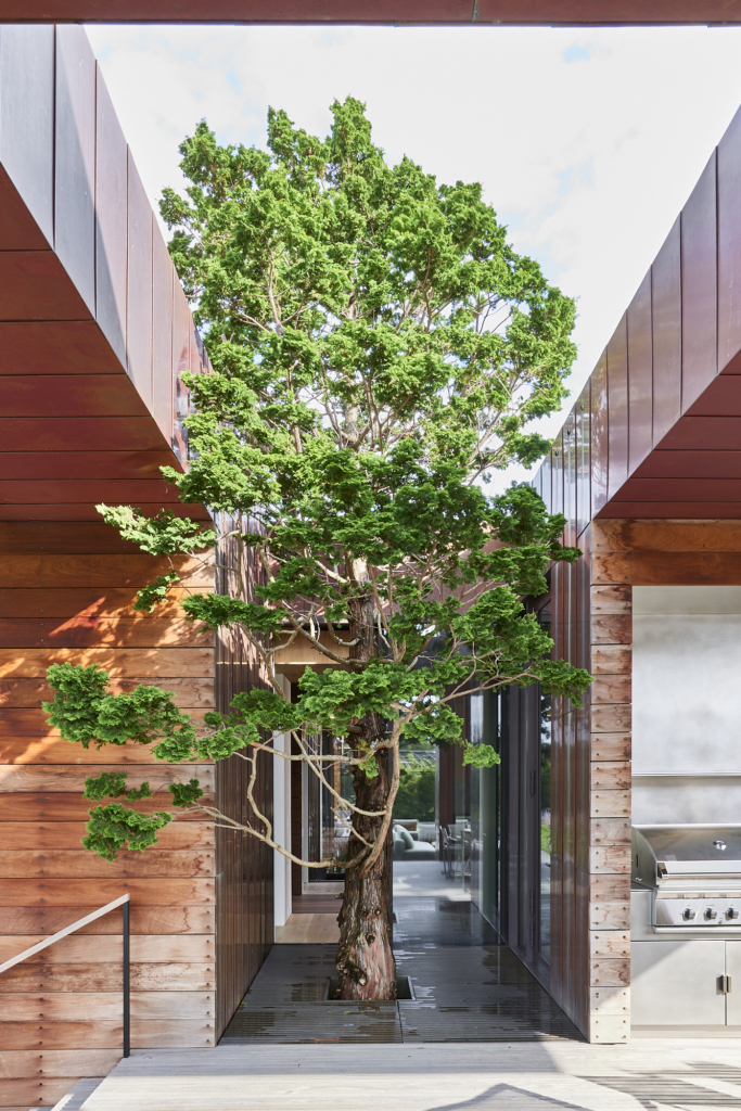 arca.house by Hogg & Lamb - Issue 12 Feature - The Local Project