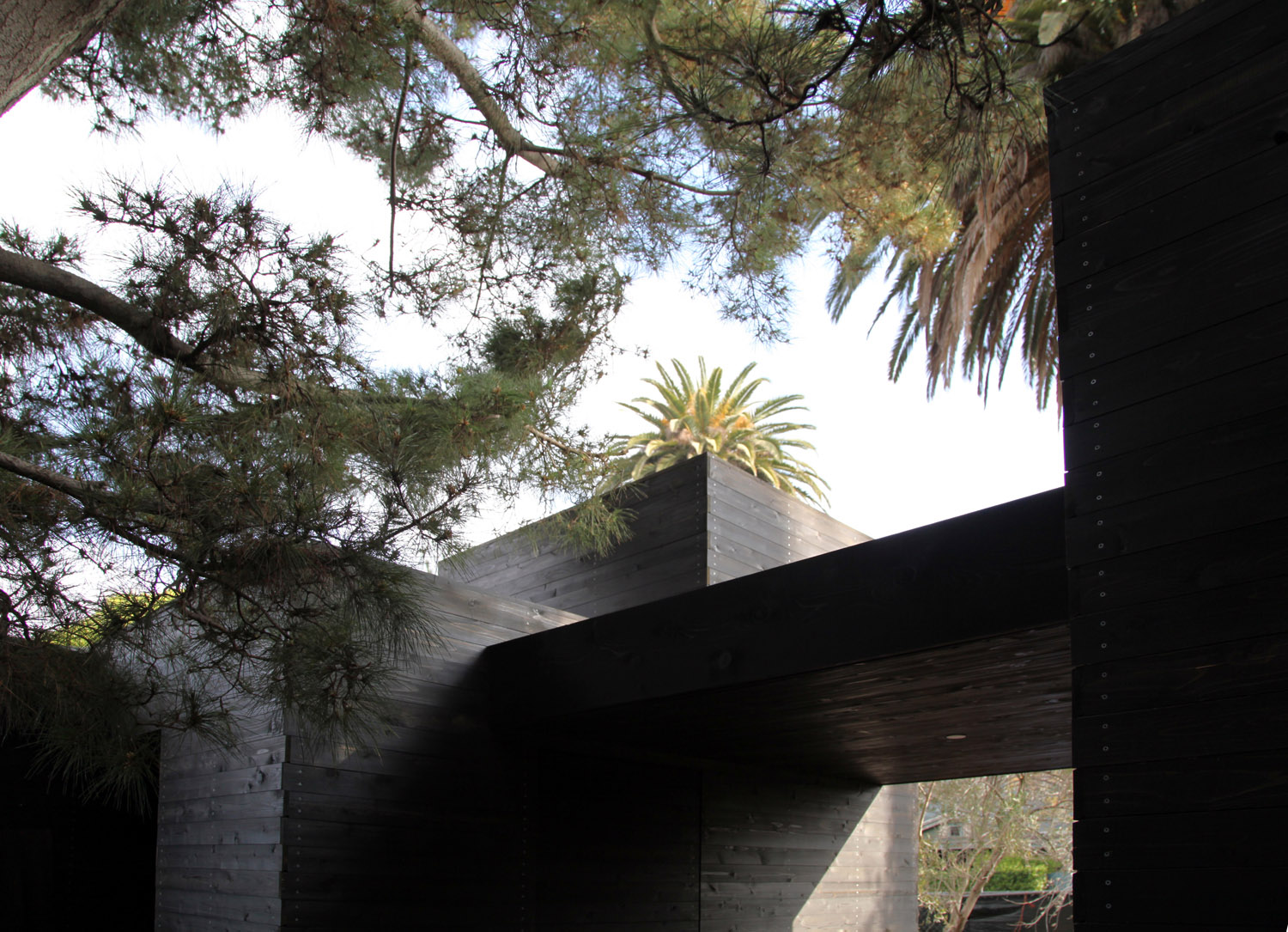 Venice House by Sebastian Mariscal Studio - Project Feature - The Local ...