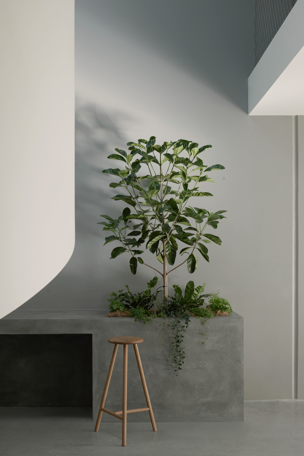 How Mortlock Timber Helped Shape Paperbark House - Project Feature ...