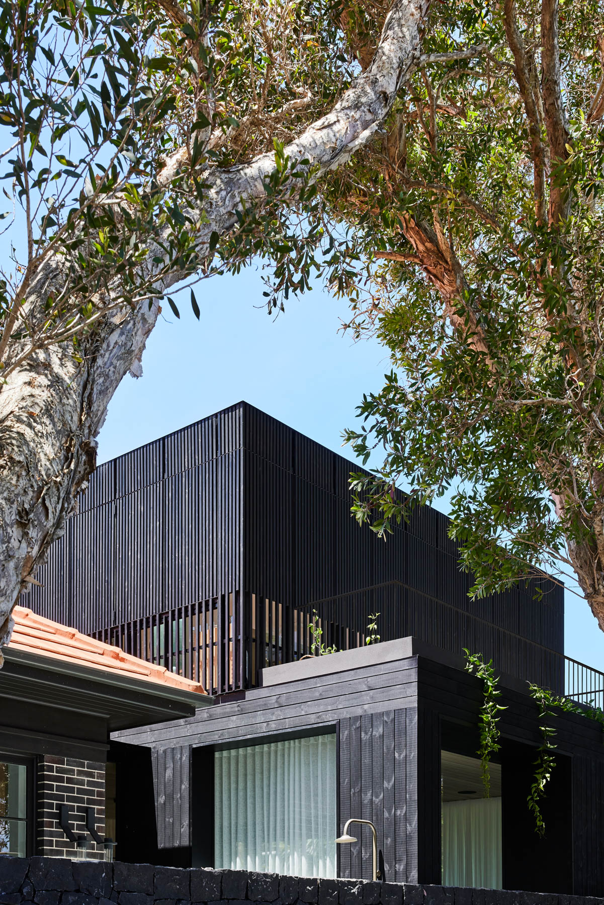 How Mortlock Timber Helped Shape Paperbark House - Project Feature ...