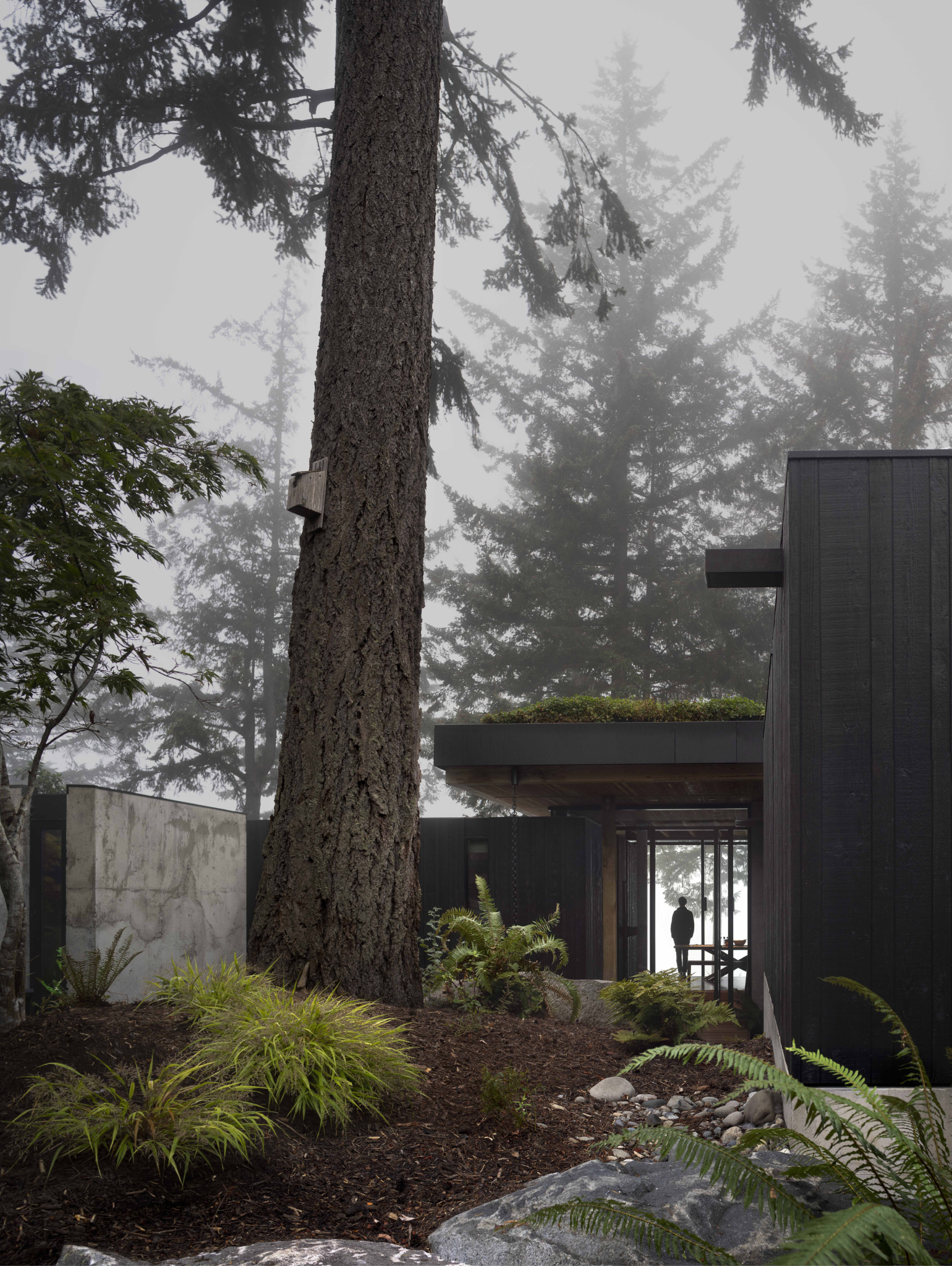 Point Nepean House by Pandolfini Architects - Project Feature - The ...
