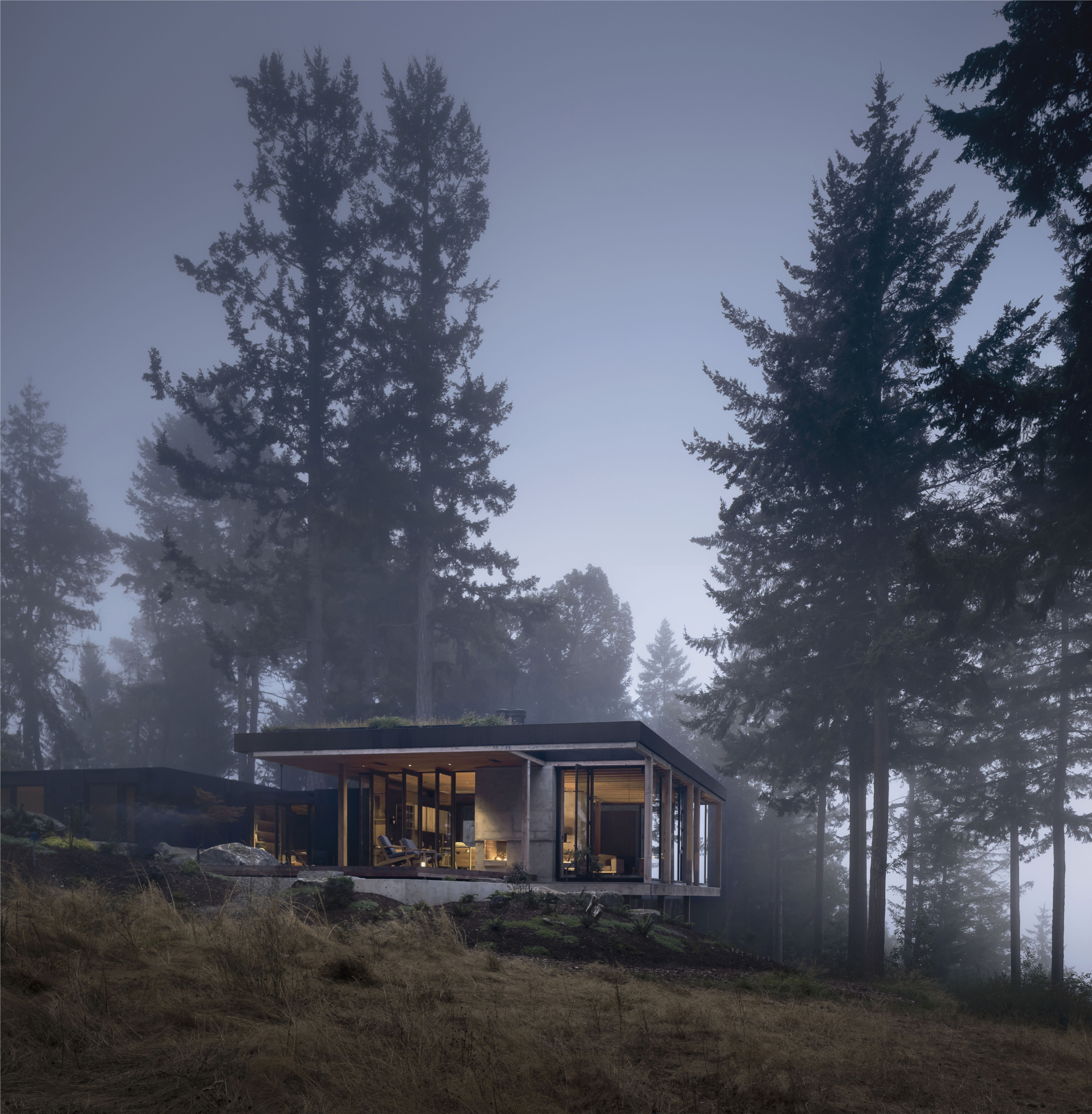 Longbranch by MW Works - Digital Project Feature - The Local Project