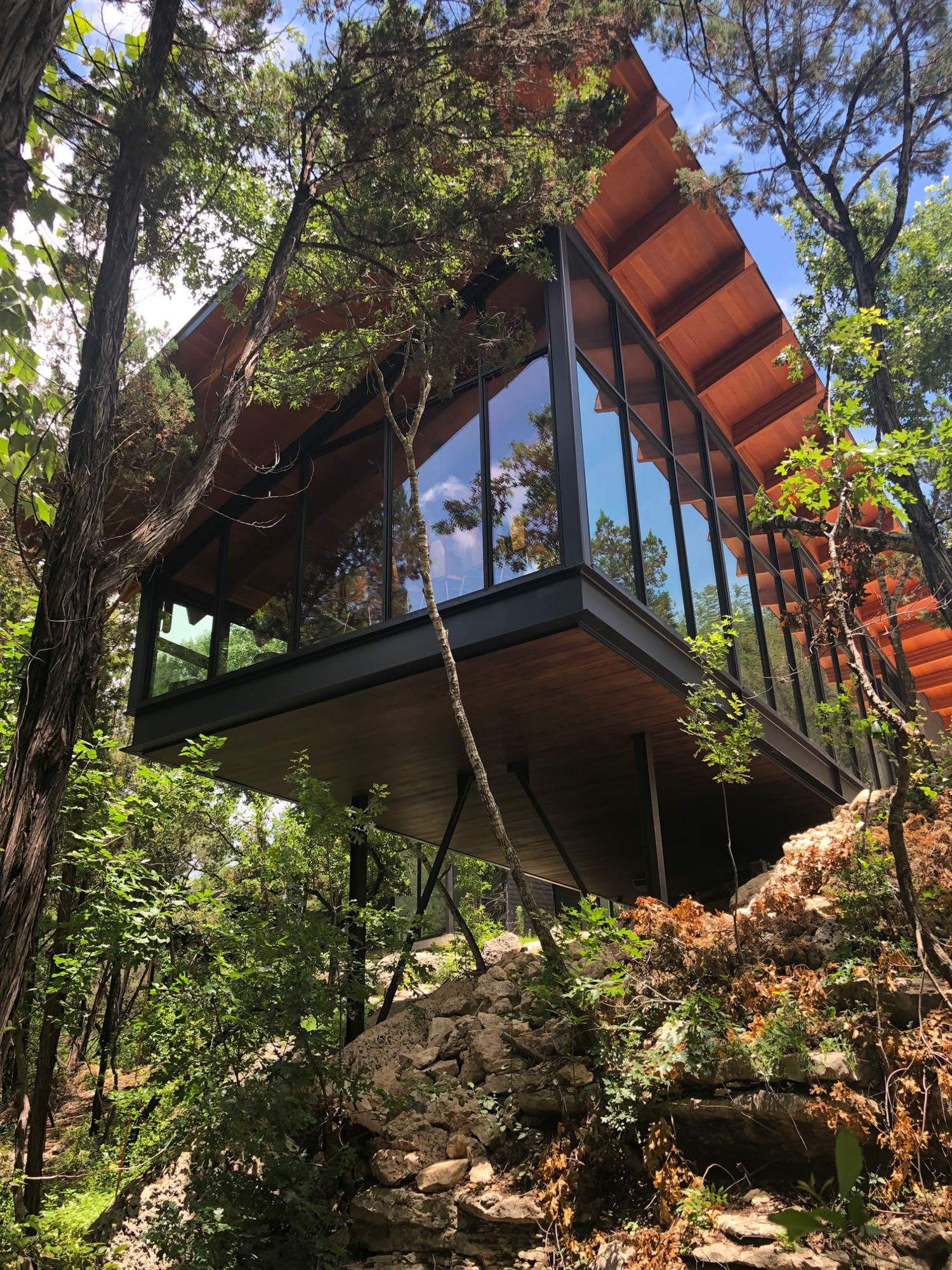 Reviving the Australian Modernist Garden by Sharon Mackay and Diana ...