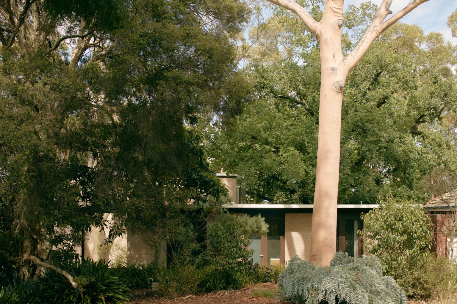 Crown Road by Jane Cameron Architects and Architect Hewson - Project ...