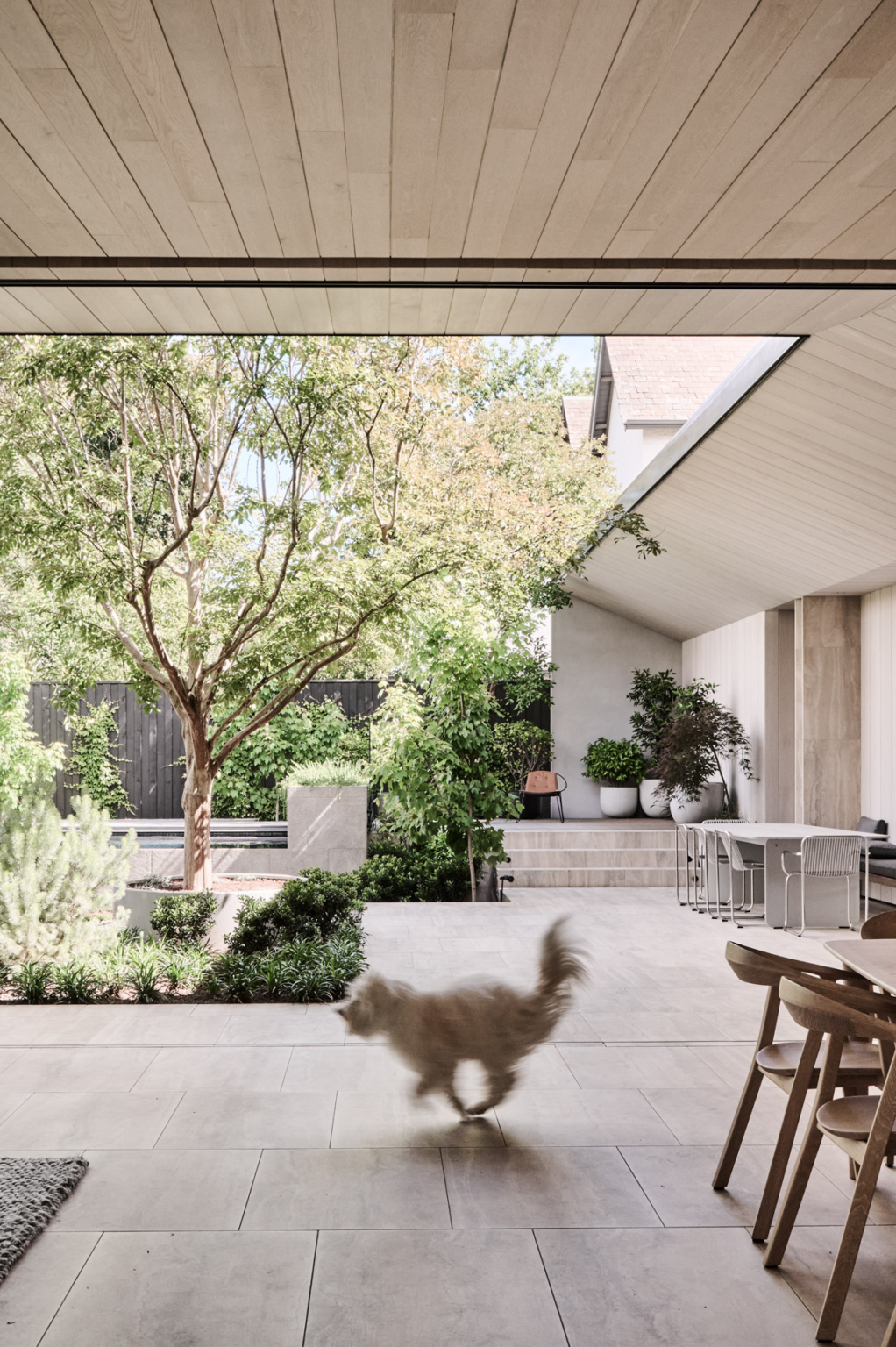 Butterfly House by Neil Architecture - Issue 15 Feature - The Local Project