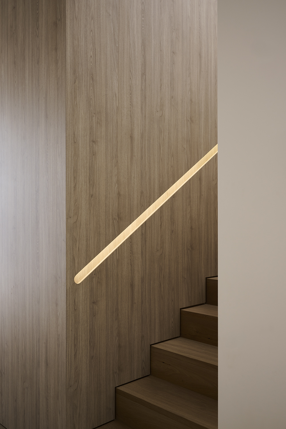 Project Alma by Nectaar - Project Feature - The Local Project