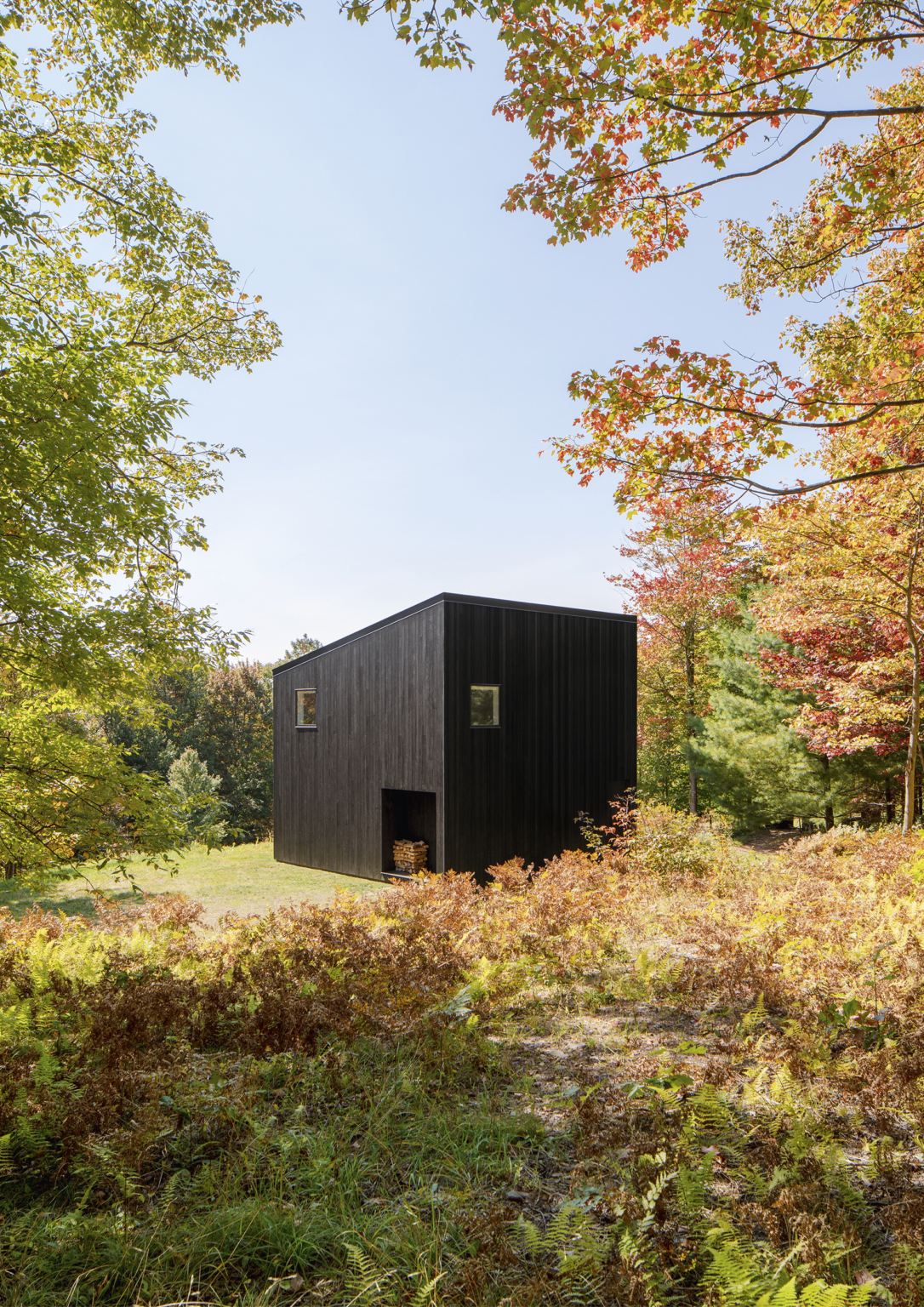 MCM House - Issue 10 Feature - The Local Project