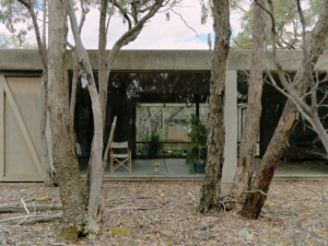 Toolern Vale by Paul Couch - Book Feature - The Local Project