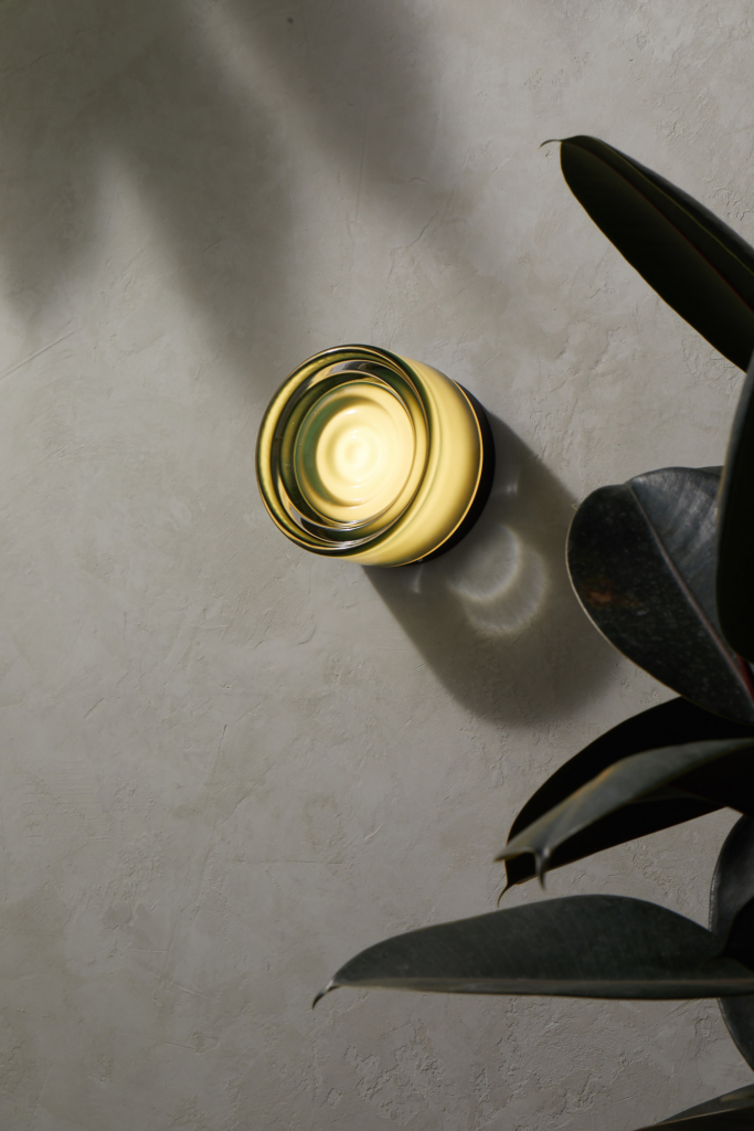 Wisteria by Carter Williamson Architects - Issue 14 Feature - The Local Project