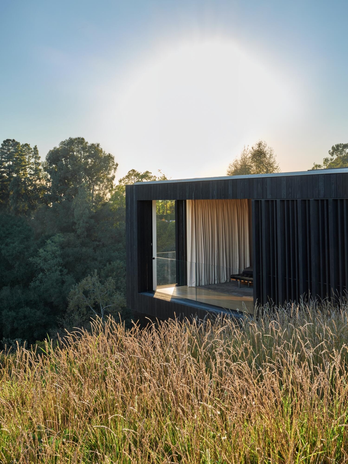 Canopy House by Scale Architecture - Sydney Residential Architecture