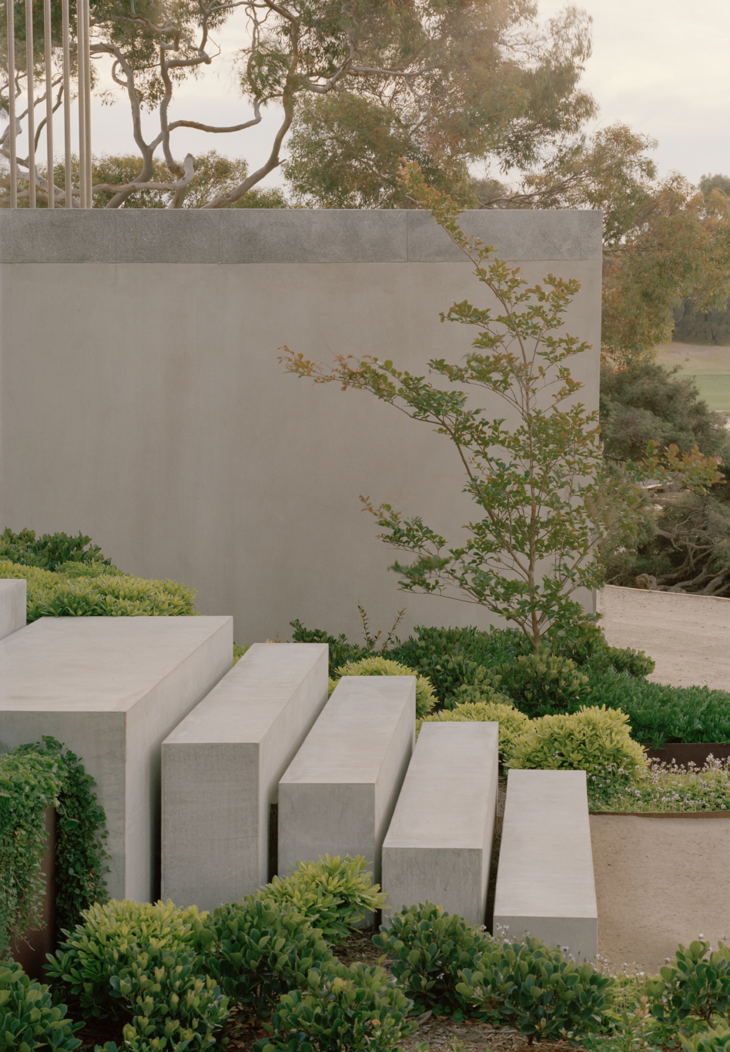 Point Nepean House by Pandolfini Architects - Project Feature - The ...