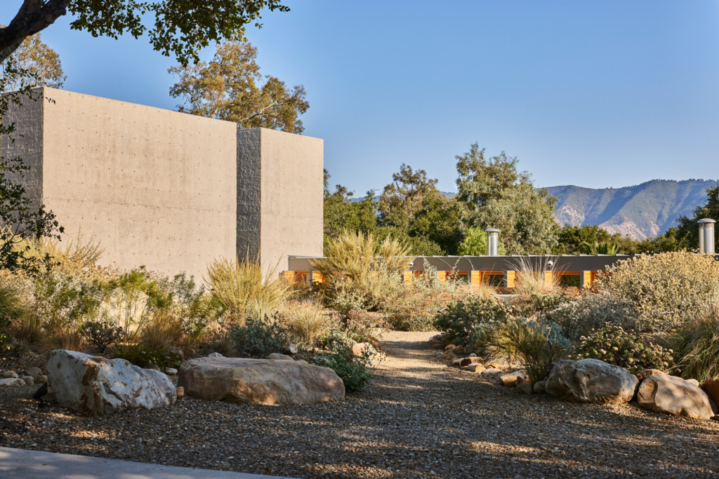 Prime by Samantha Mink and Terremoto - Issue 16 Feature - The Local Project