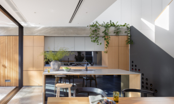 Video - The Local Project