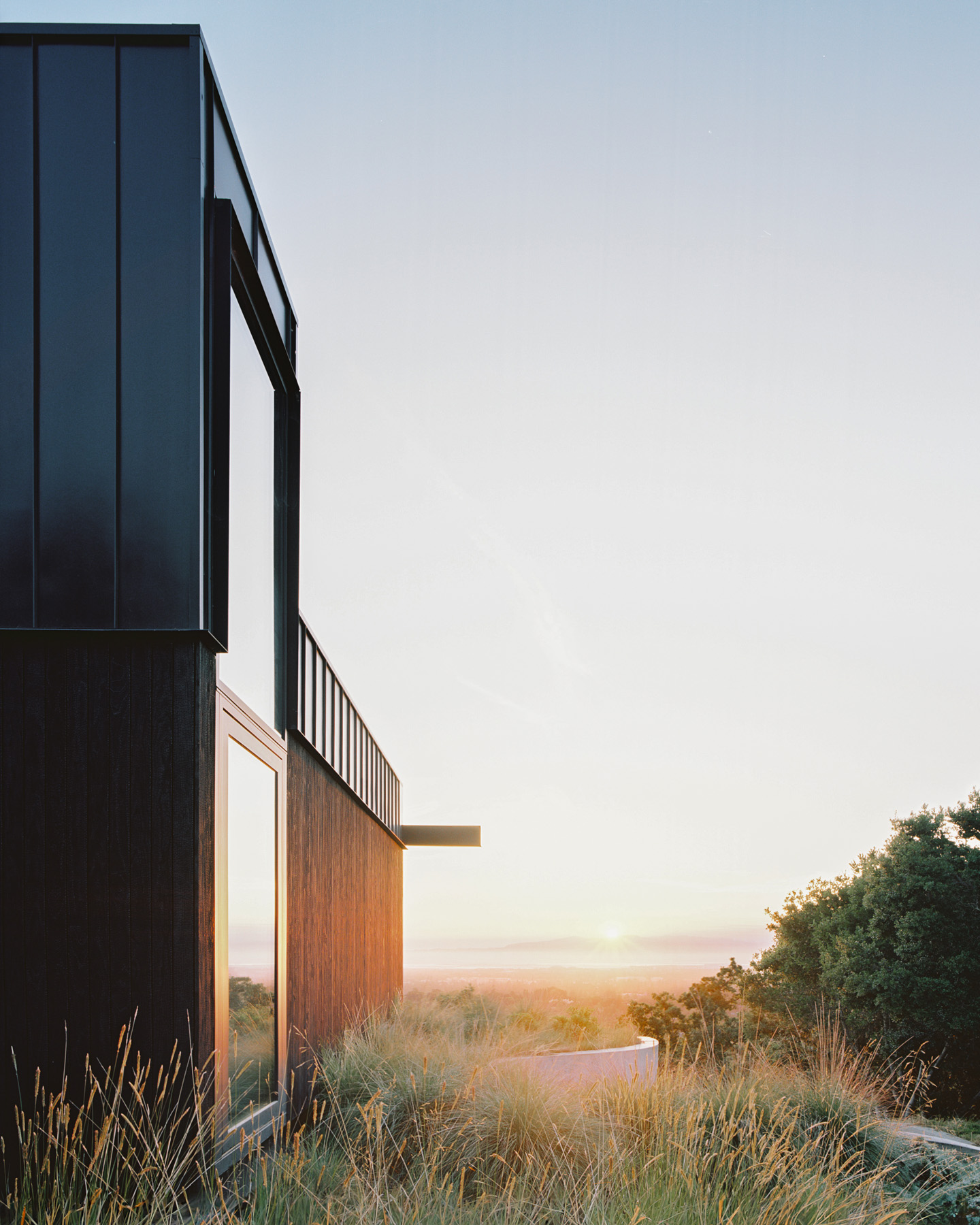 House of Horns by WOJR - Issue 17 Feature - The Local Project