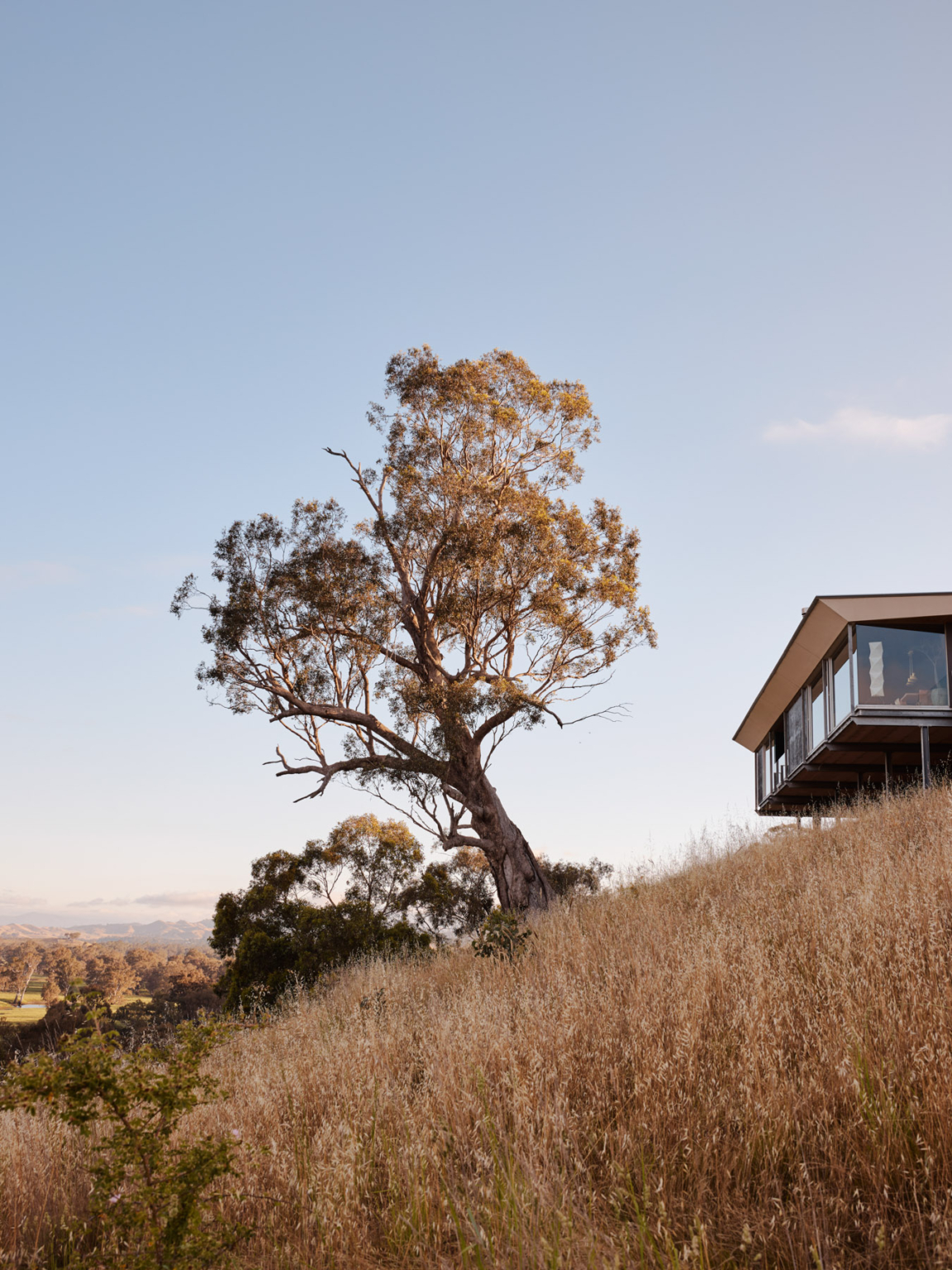 Hilltop by Flack Studio - Issue 17 Feature - The Local Project