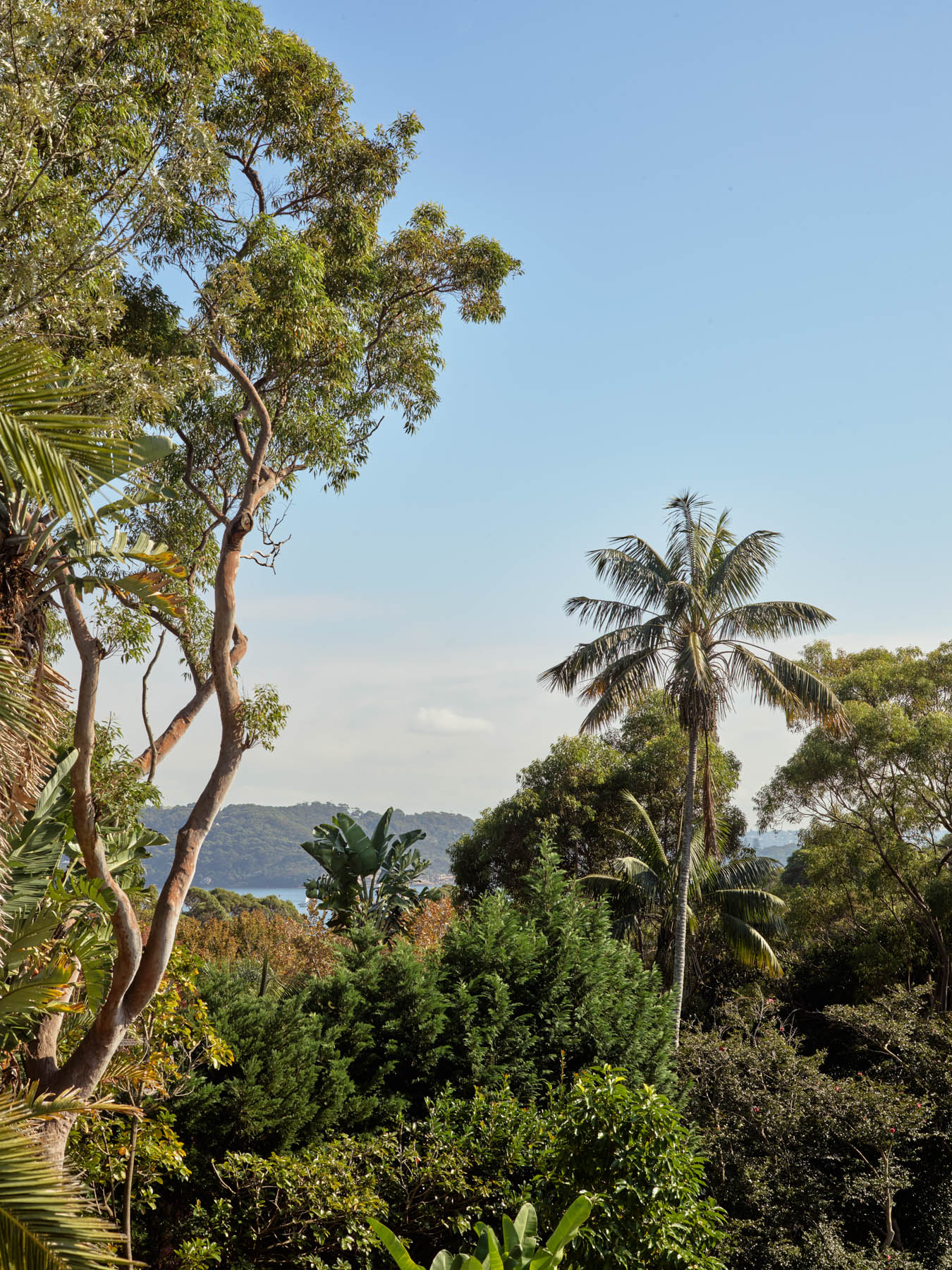 Casa Vista by Bevan Boss Design and Atelier Alwill - Issue 17 Feature ...