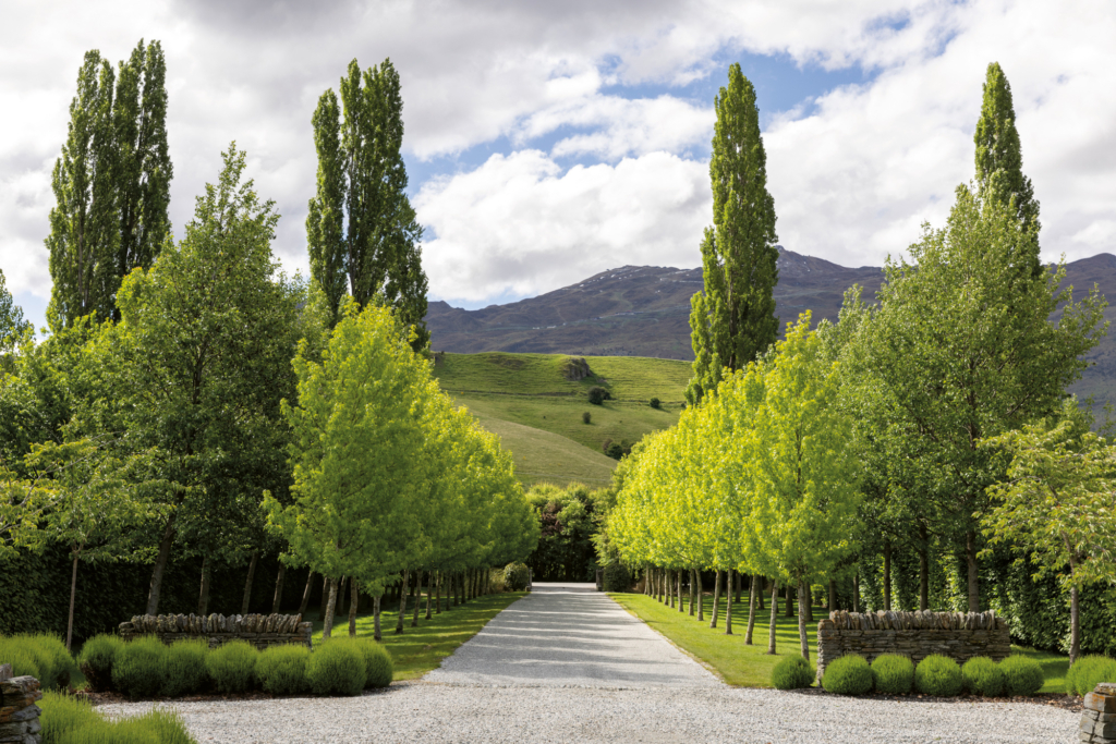 The Alpine Garden Queenstown by Paul Bangay - Issue 17 Feature - The Local Project