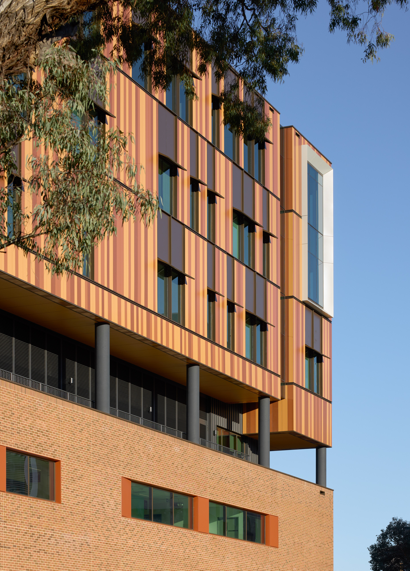 Canberra Hospital expansion by BVN - Issue 17 Feature - The Local Project