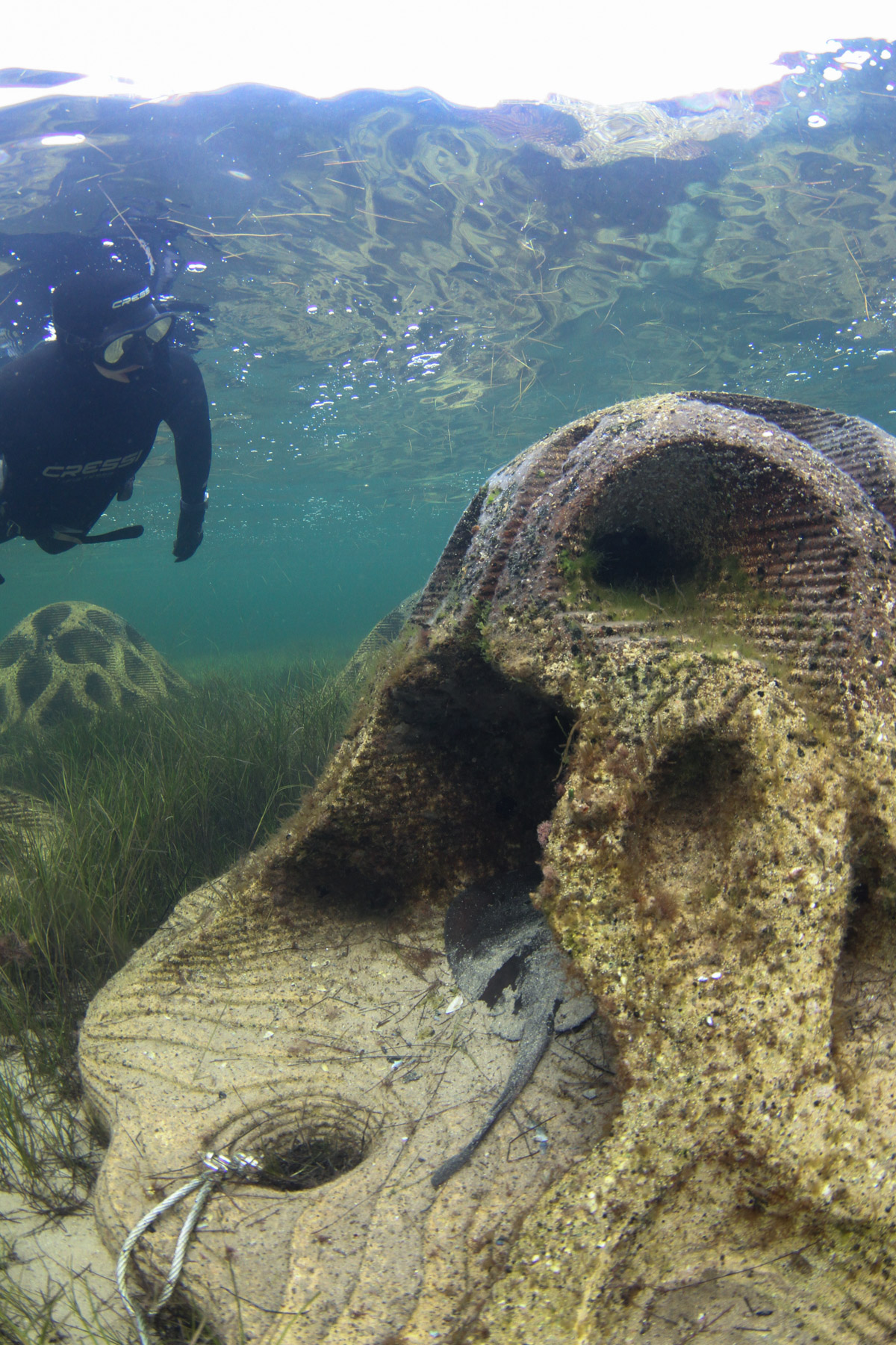 Designing for the Ocean – Reef Design Lab - Profile Feature - The Local ...