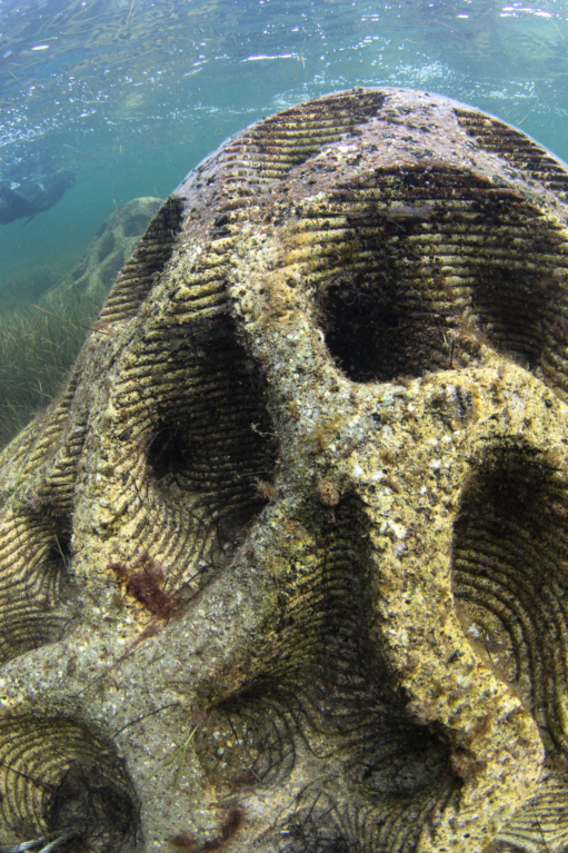 Designing for the Ocean – Reef Design Lab - Profile Feature - The Local ...