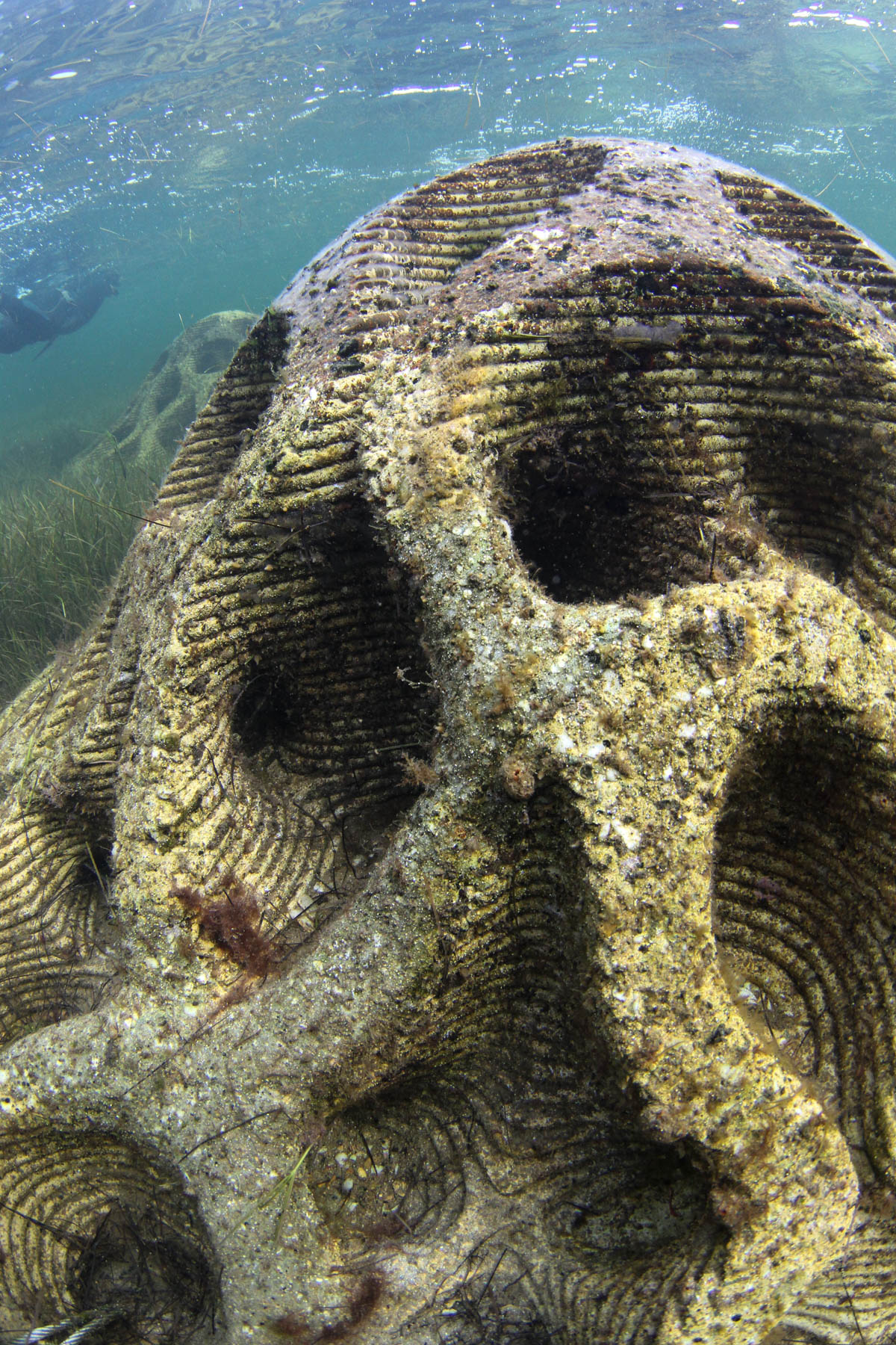 Designing for the Ocean – Reef Design Lab - Profile Feature - The Local ...