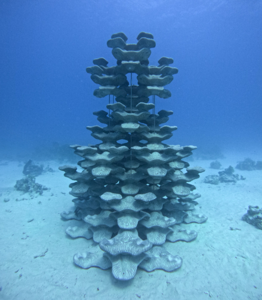 Designing for the Ocean – Reef Design Lab - Profile Feature - The Local ...