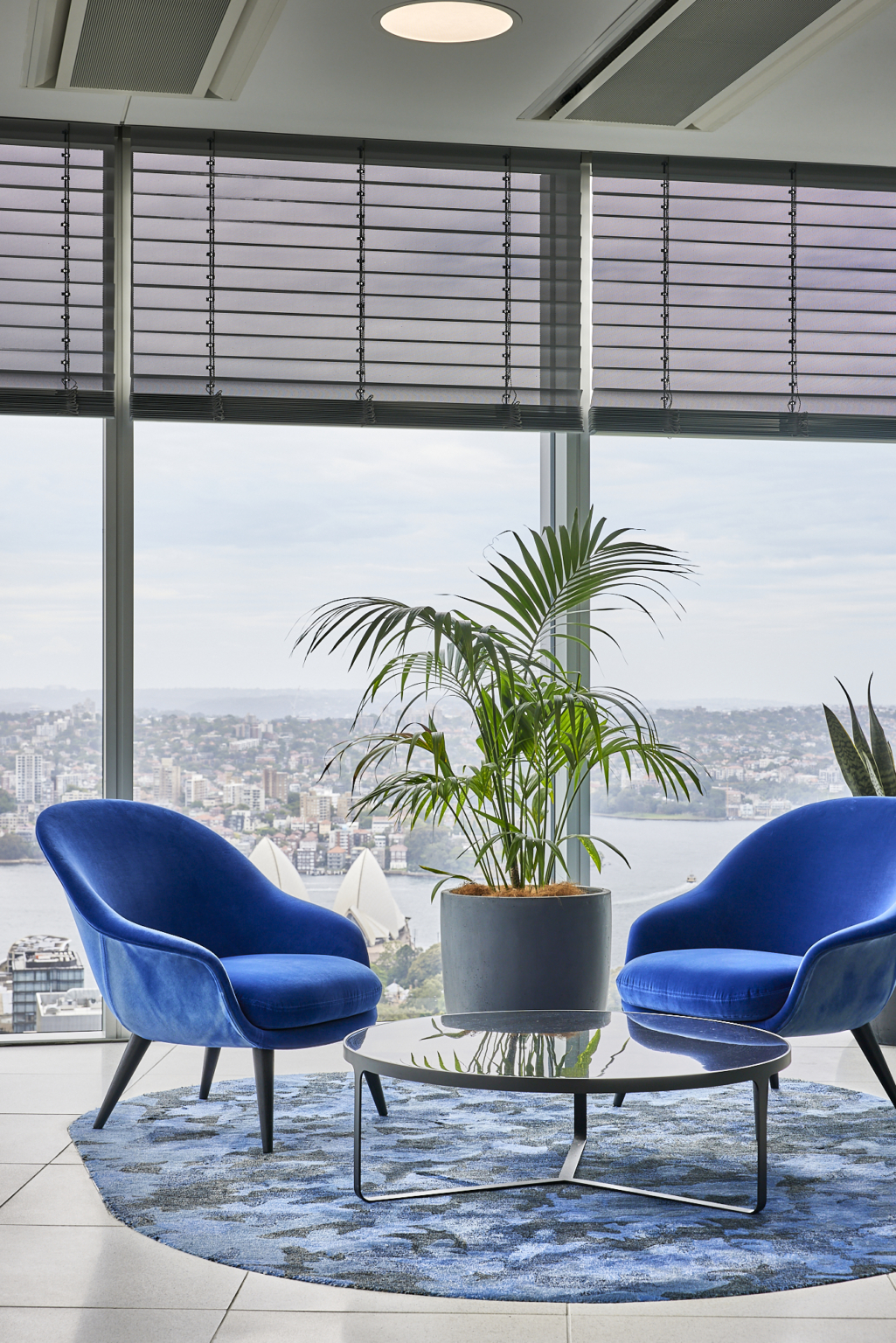 Sixty Martin Place by Hassell and Arup - Video Feature - The Local Project