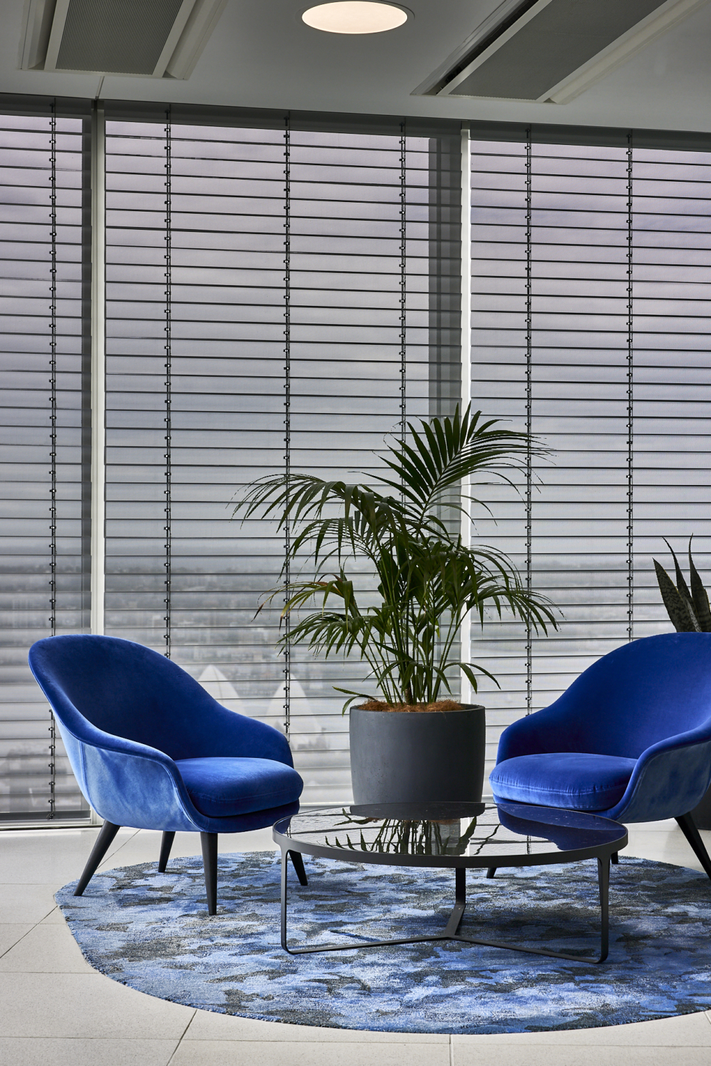 Sixty Martin Place by Hassell and Arup - Video Feature - The Local Project