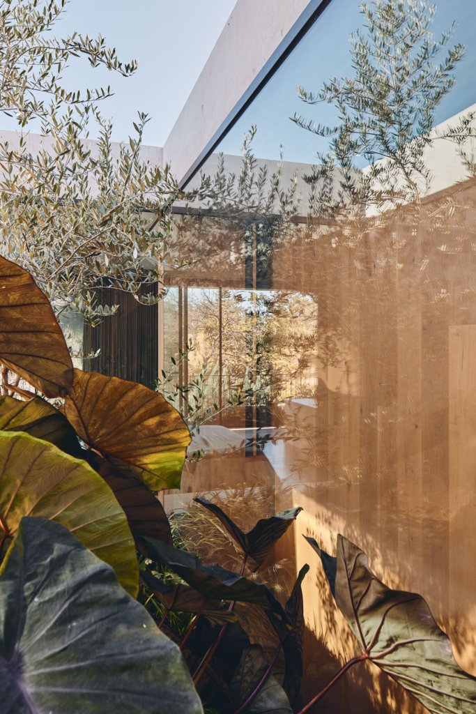 The Oasis Project by Homes by Touchwood - Project Feature - The Local ...