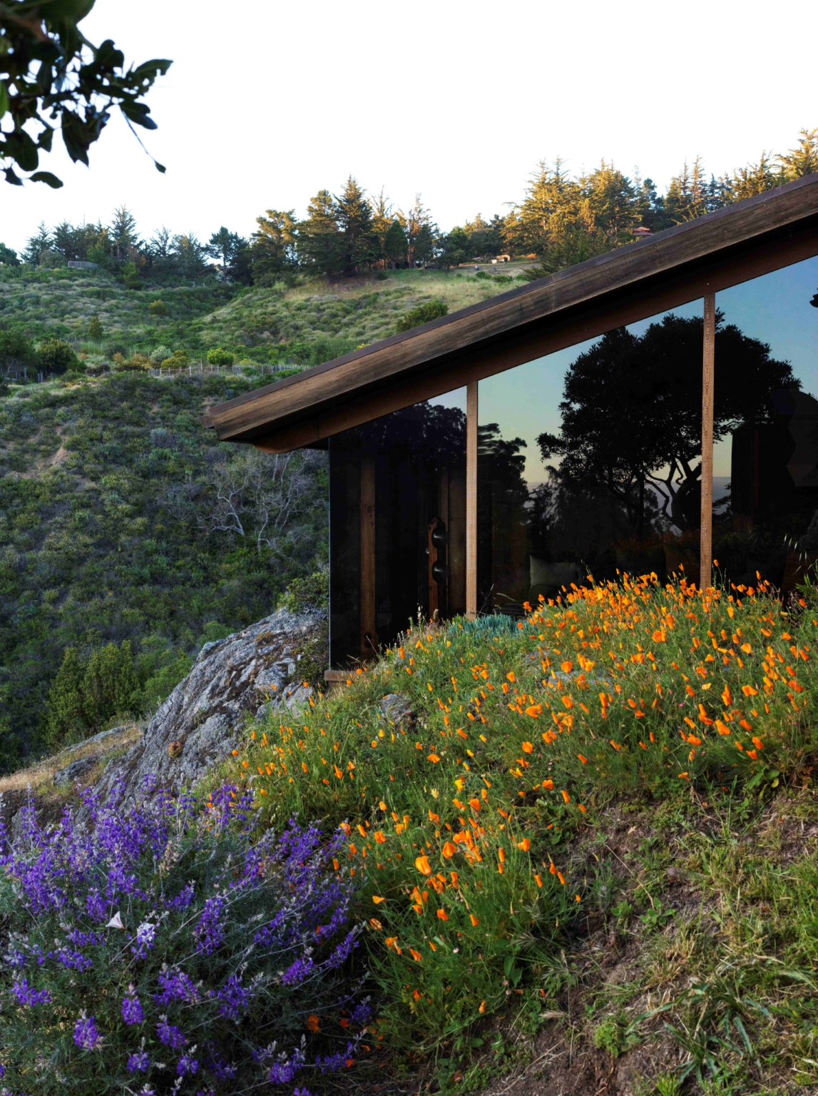 MCM House - Issue 10 Feature - The Local Project