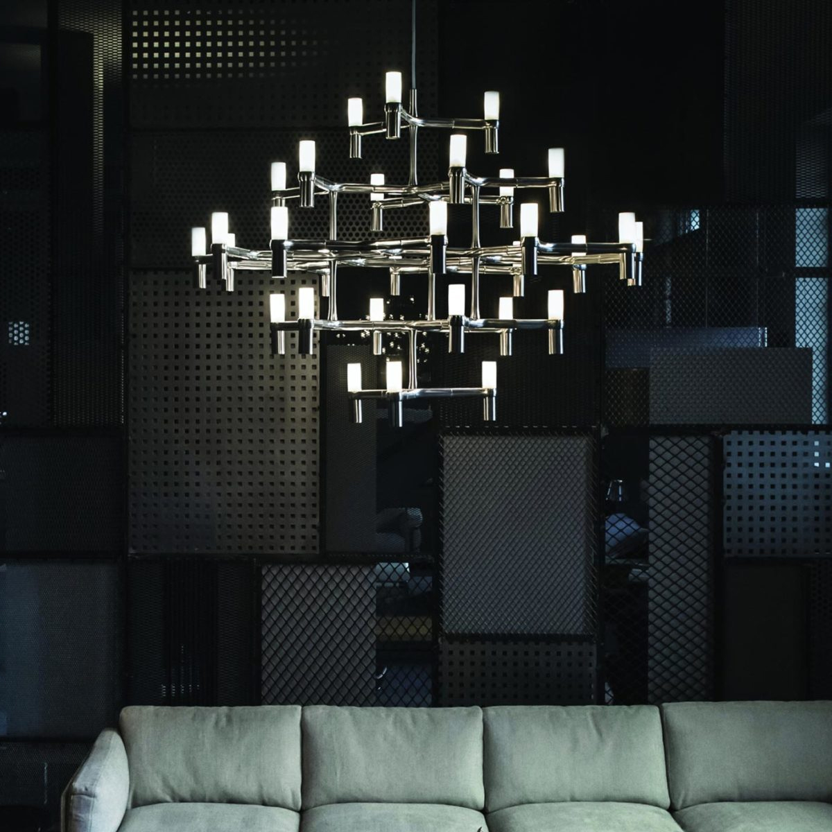 Nemo Finds a New Home in Australia at LightCo - News Feature - The ...