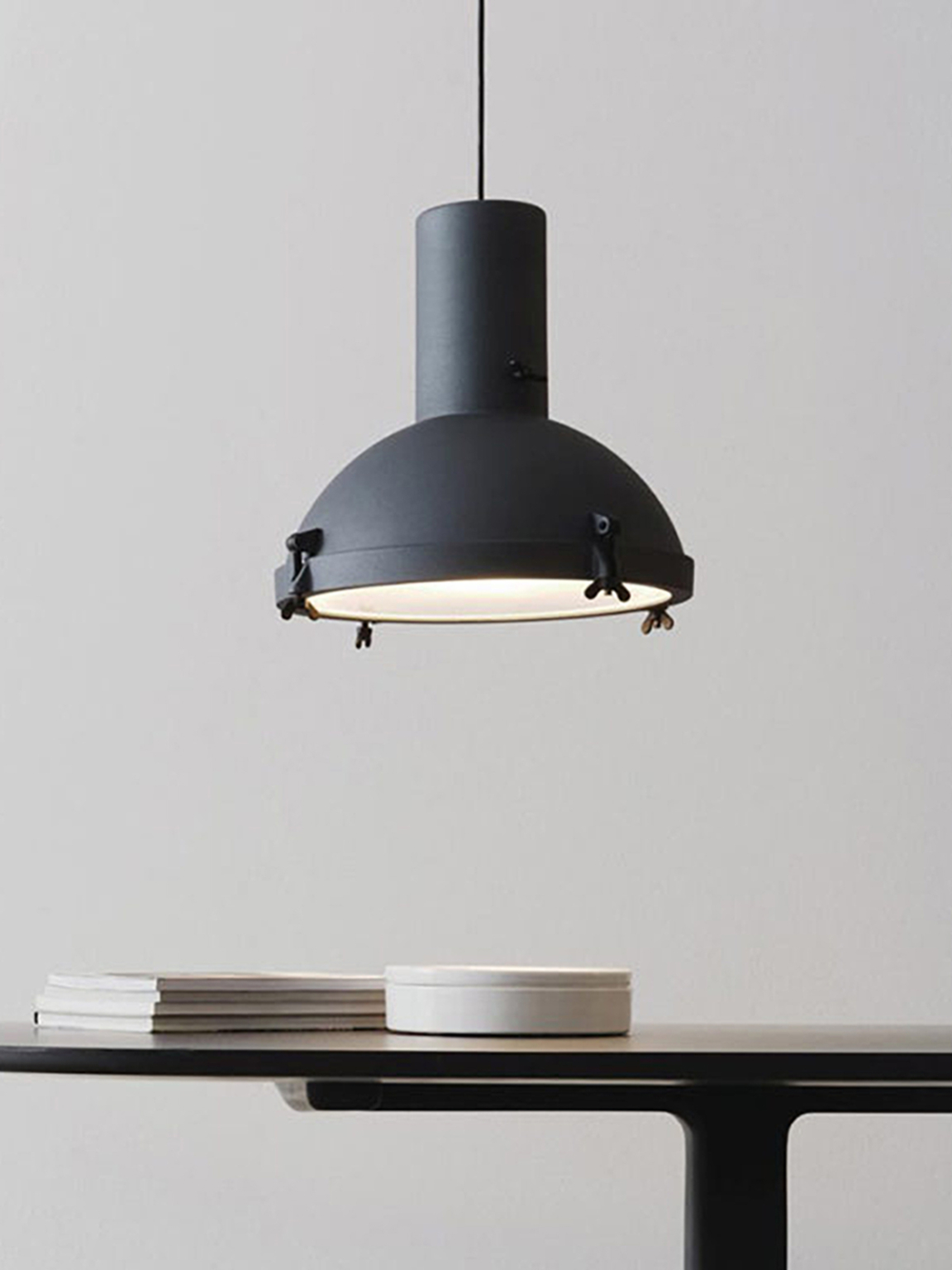 Nemo Finds a New Home in Australia at LightCo - News Feature - The ...