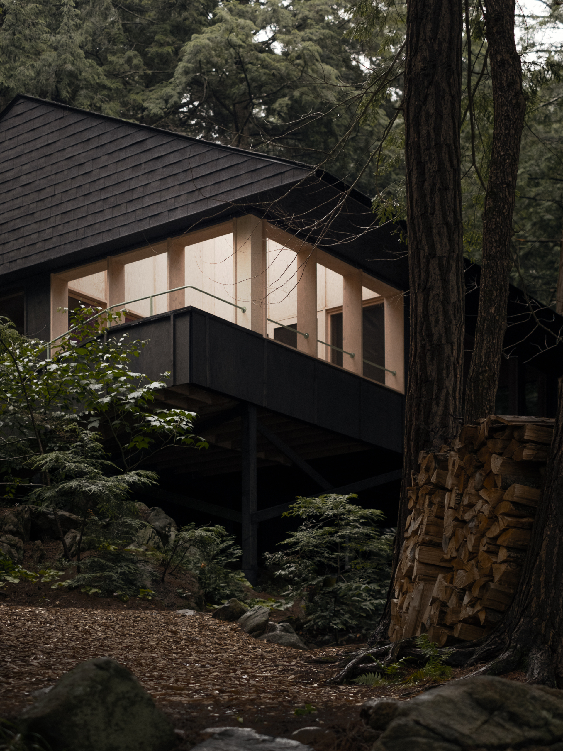 Project Feature Archives - The Local Project